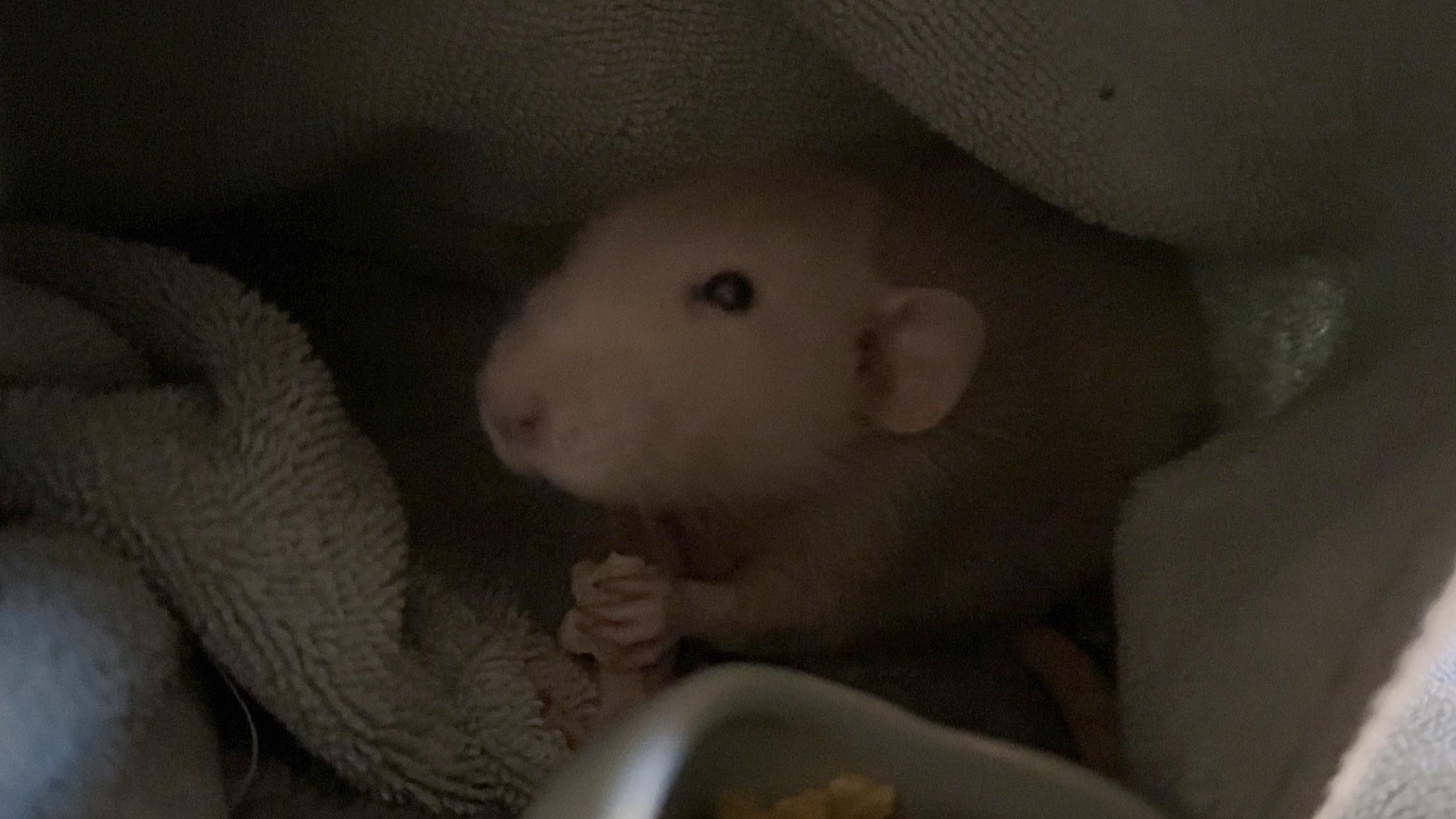 When to say goodbye? | Scrolller