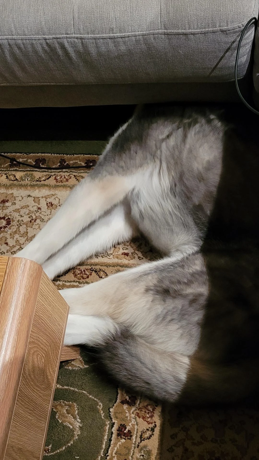 Hide and seek! | Scrolller