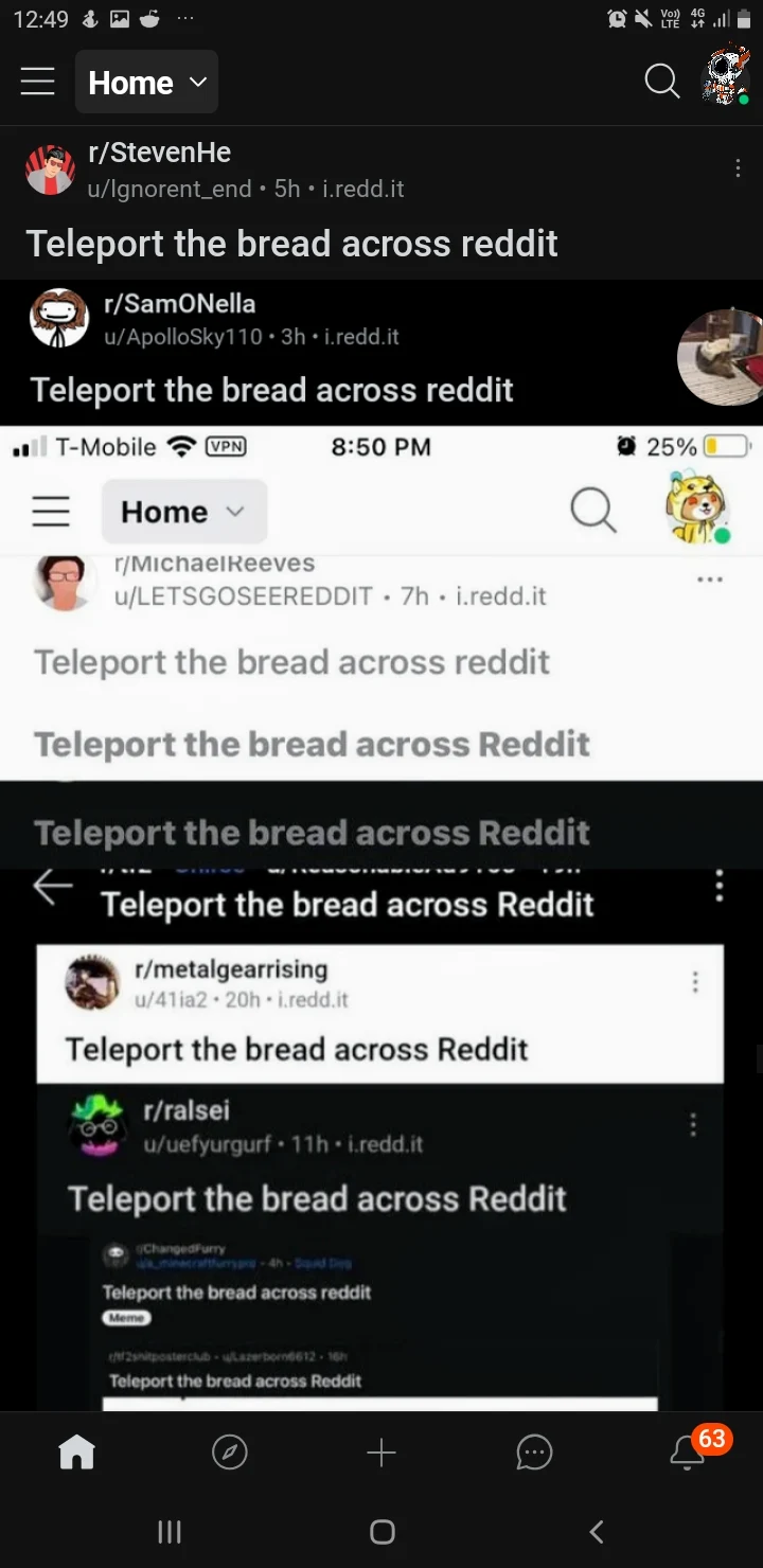 Teleport the bread across reddit | Scrolller