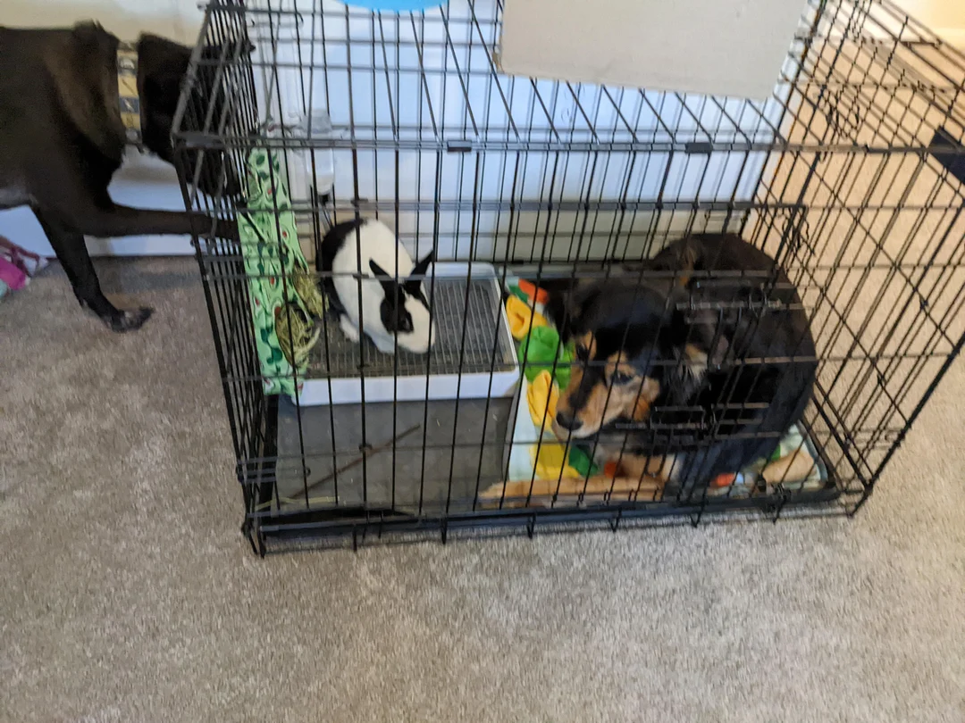 where do I even begin | Scrolller