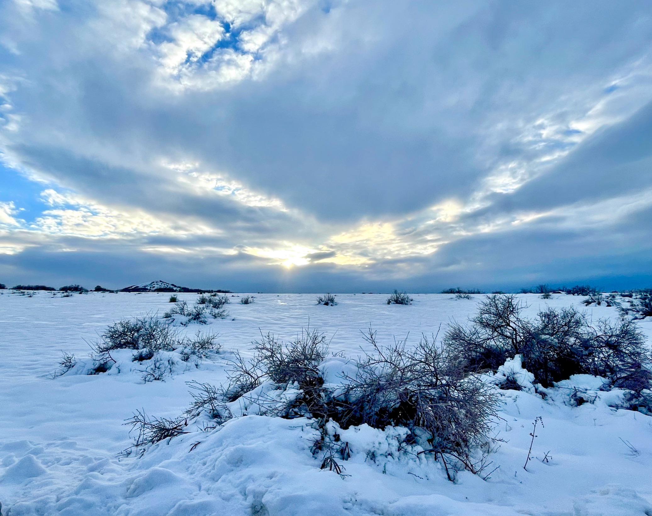 It’s a Good Kind of Cold | Scrolller