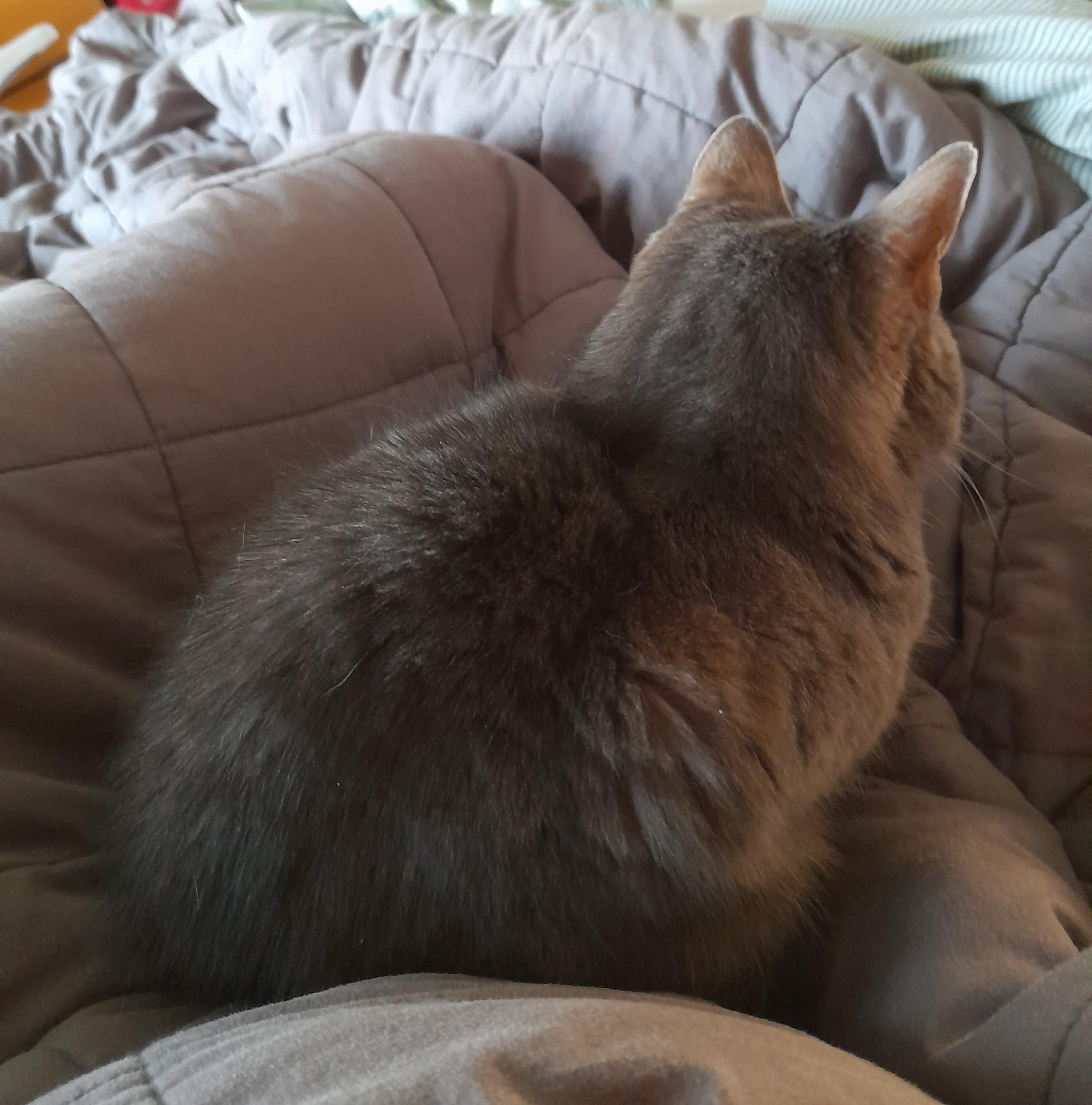 She's very circular (OC) | Scrolller