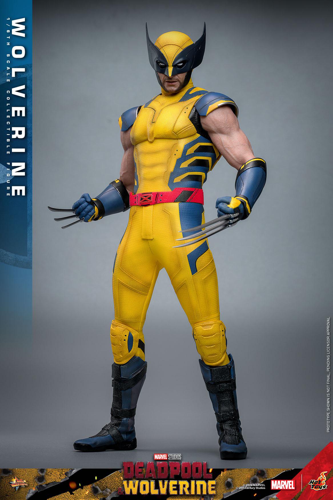 Wolverine | Scrolller
