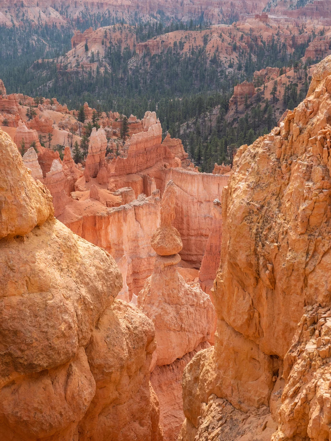 Hoodoos at Bryce Canyon National Park [3888 x 5184][OC] | Scrolller
