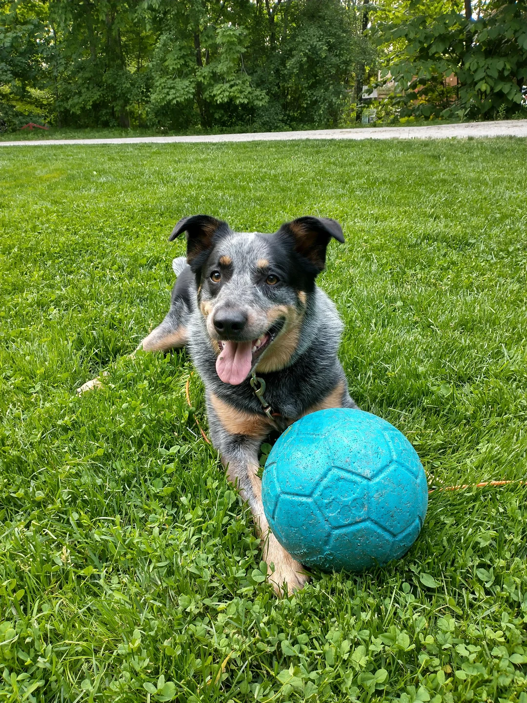 River loves her soccer ball | Scrolller