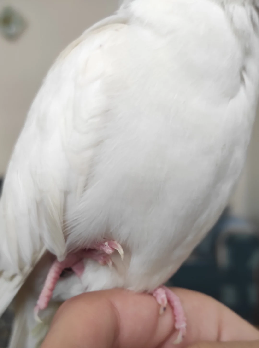 She is doing this. Is this normal? | Scrolller