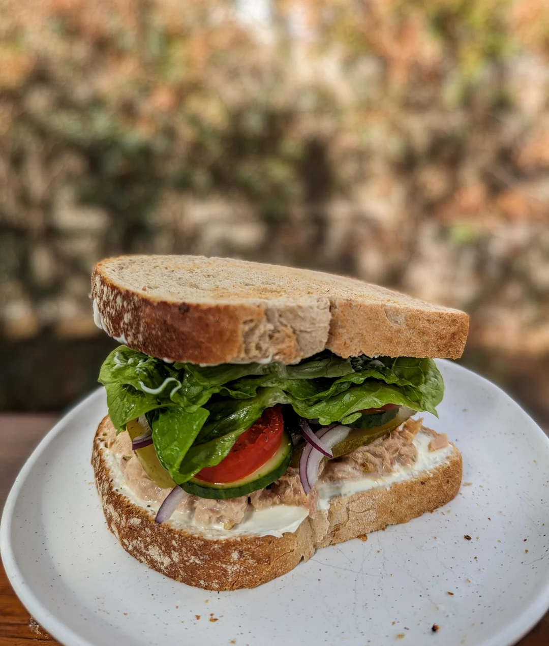 Tuna and Salad on Lightly Toasted Rye | Scrolller