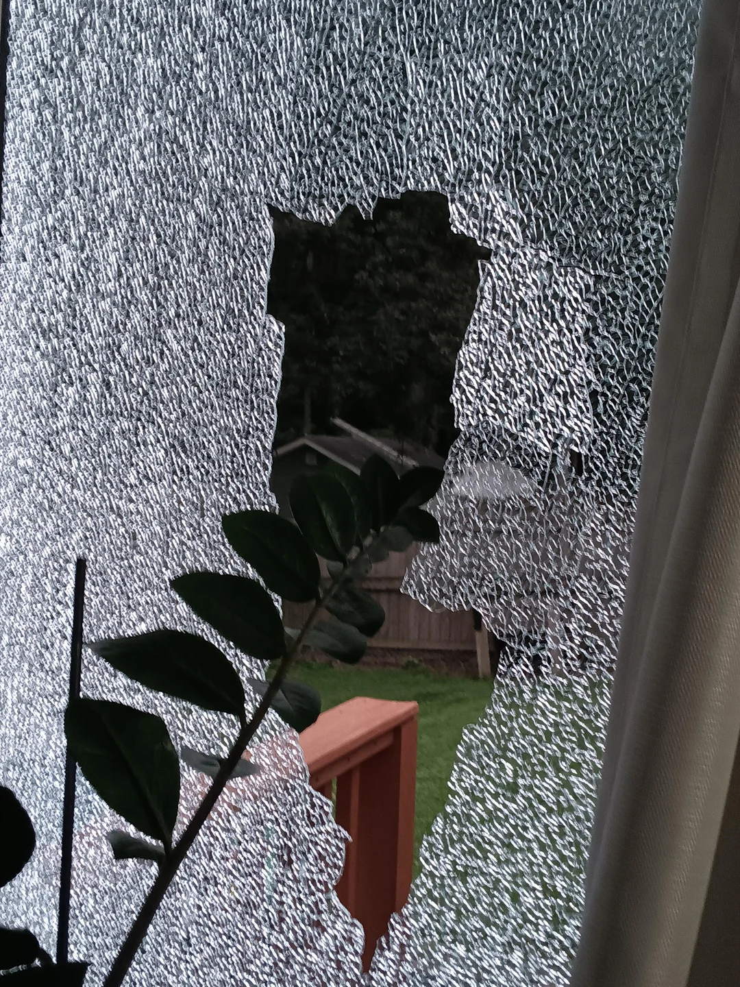 My goofy grandma cracked her window | Scrolller