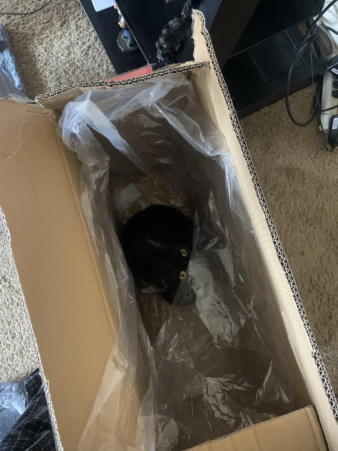 I caught a void! | Scrolller