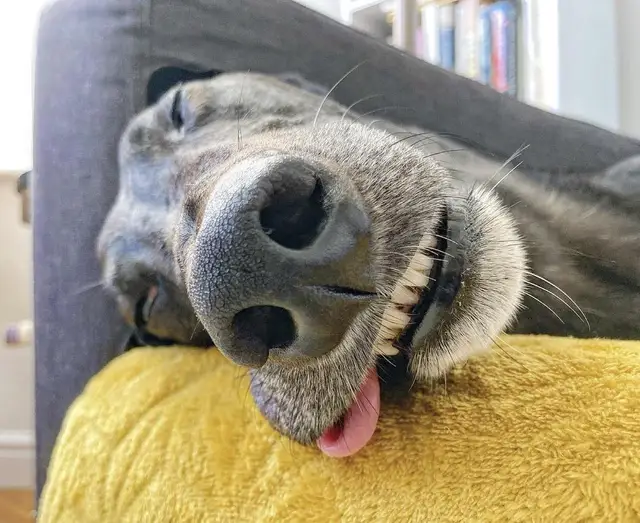 Happy ToT from Alberto | Scrolller