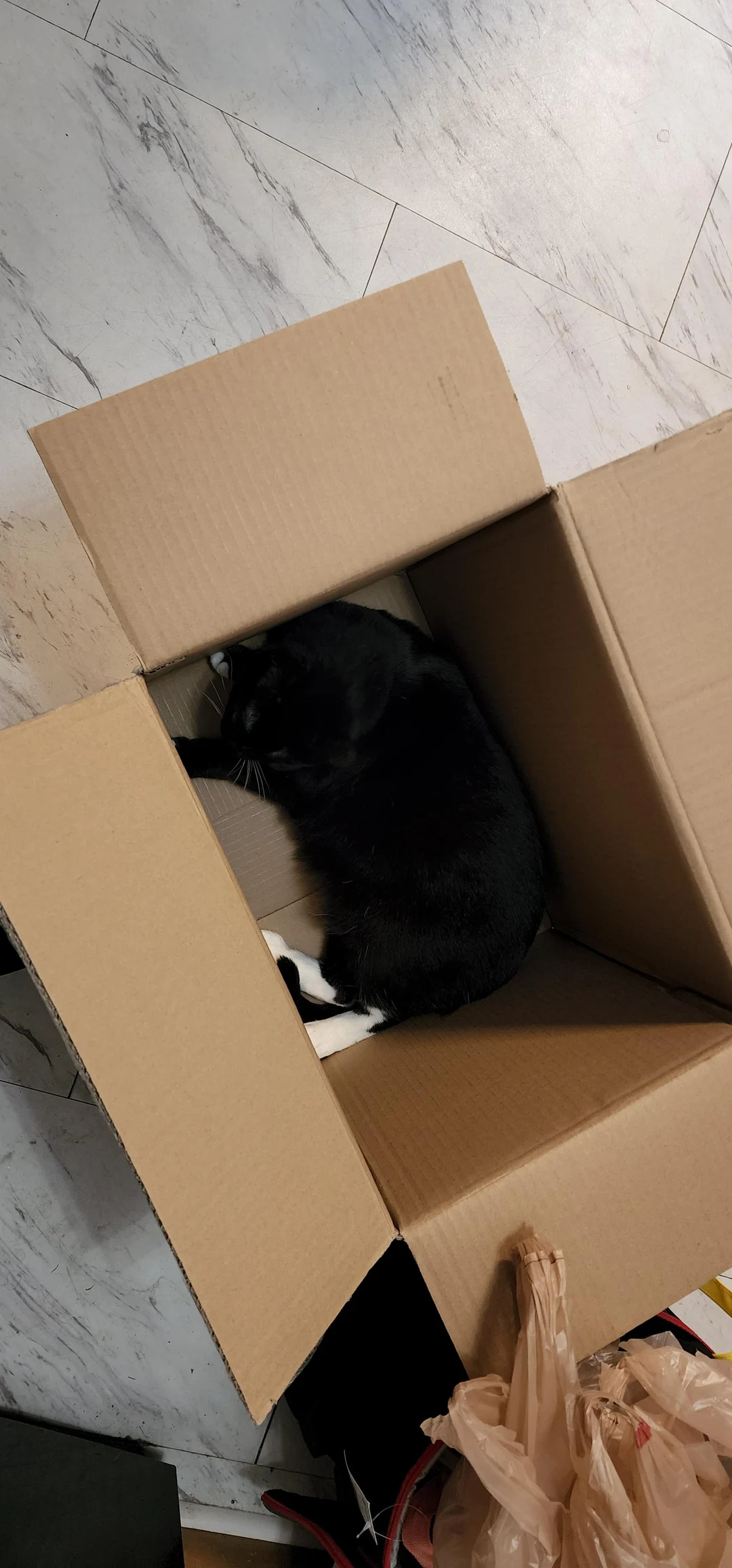 New box is always a hit. | Scrolller