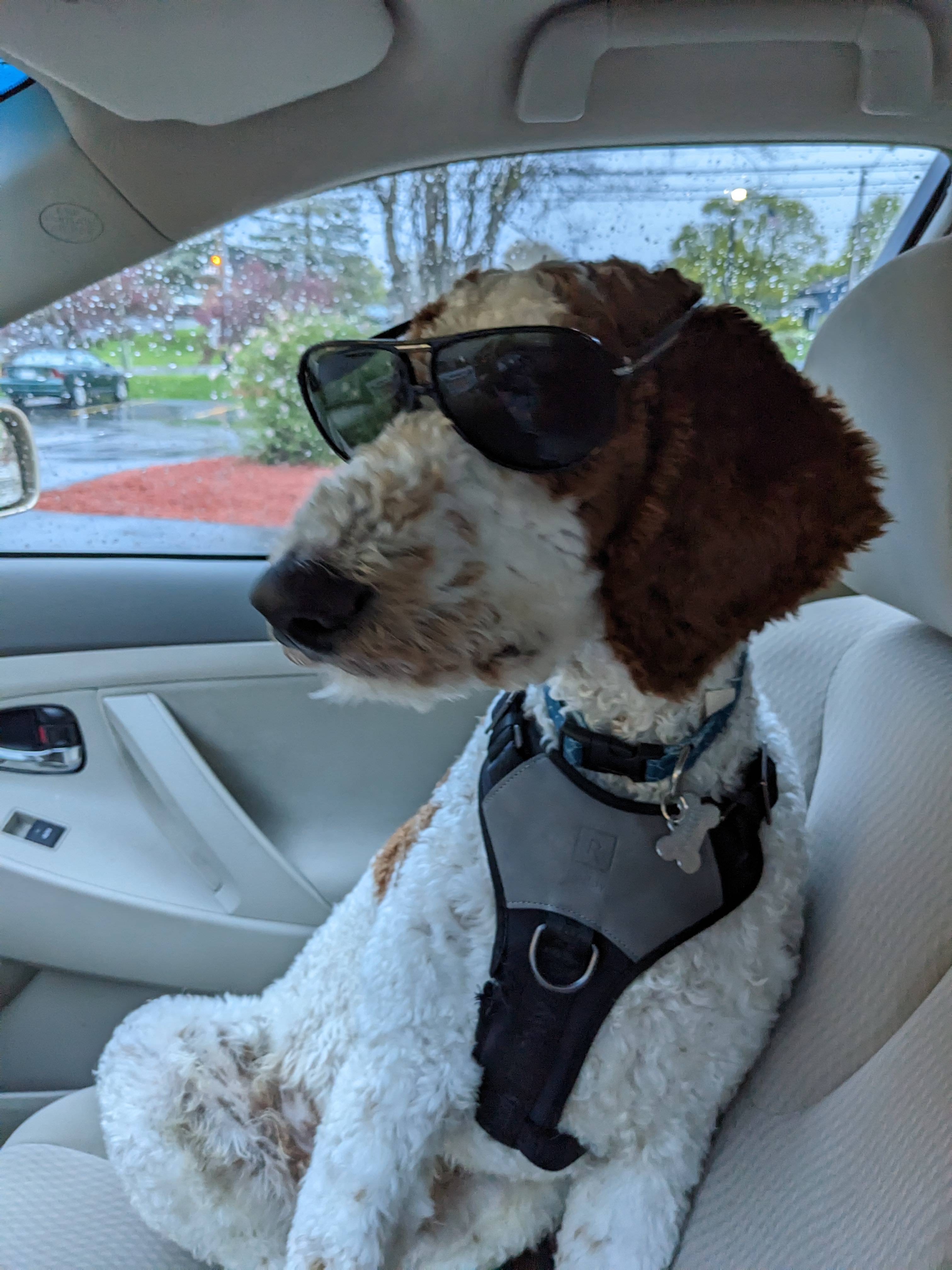 Co-pilot | Scrolller