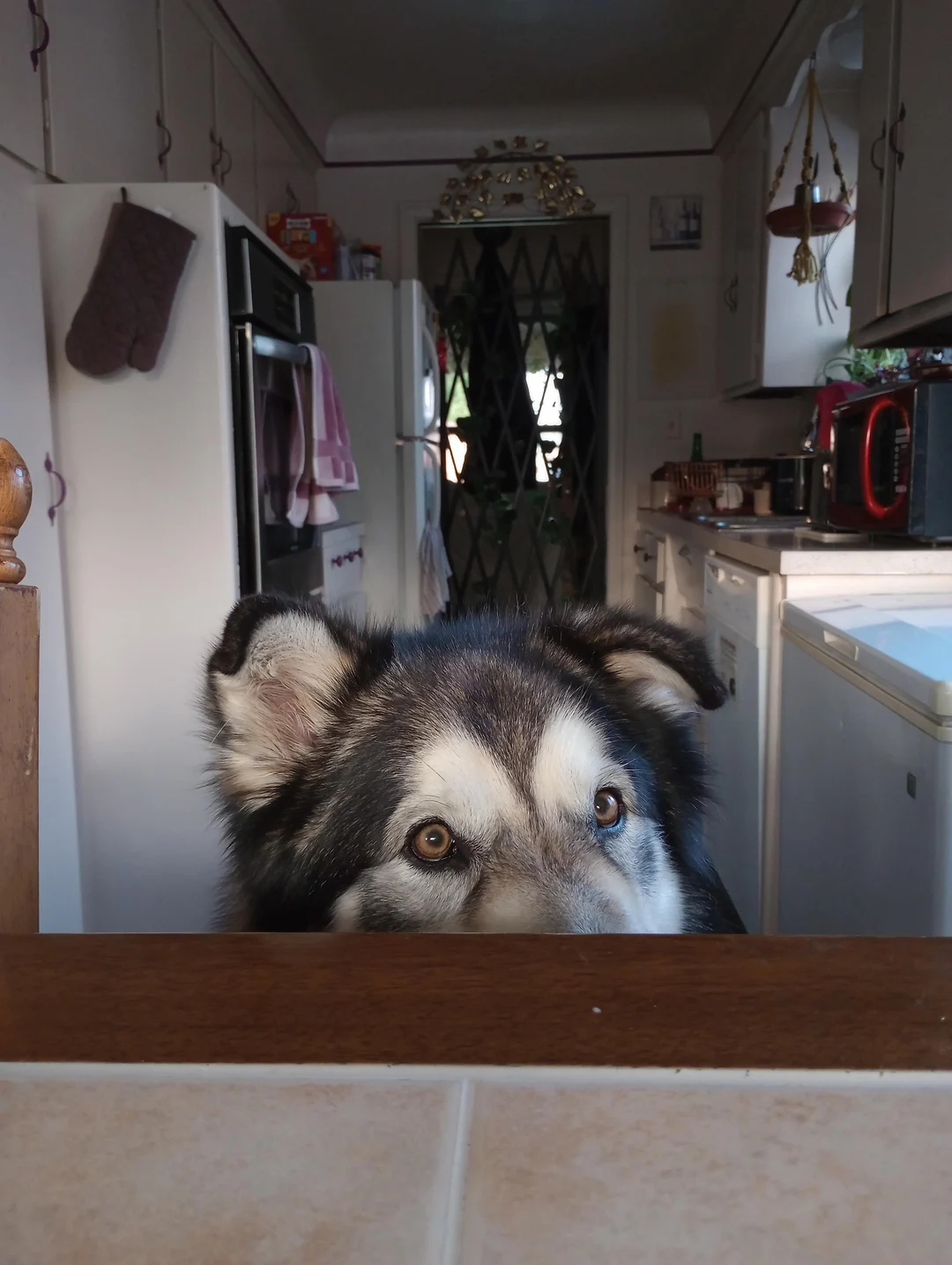 When your trying to eat dinner but the table keeps staring at you | Scrolller