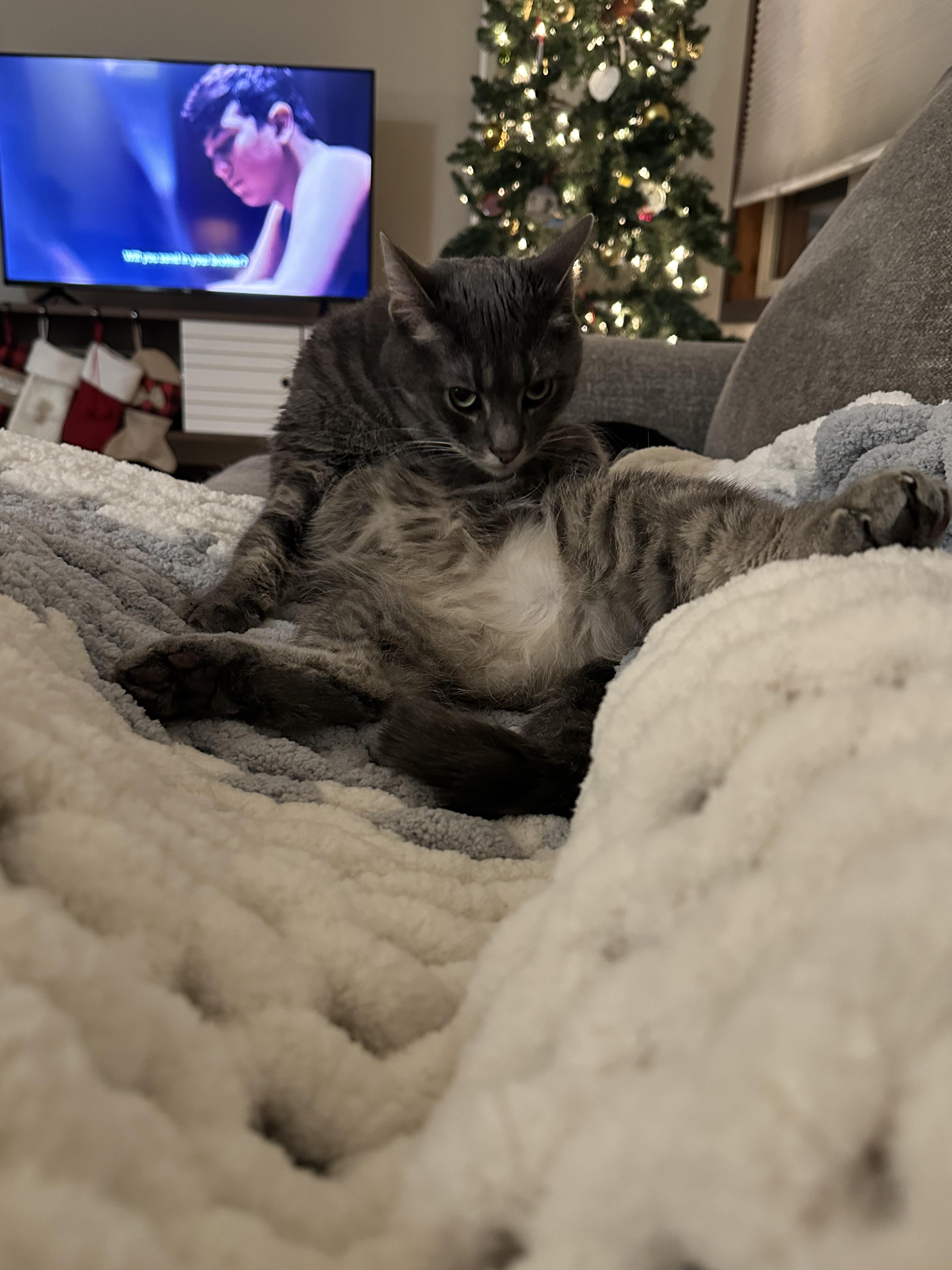 Sultry poses | Scrolller