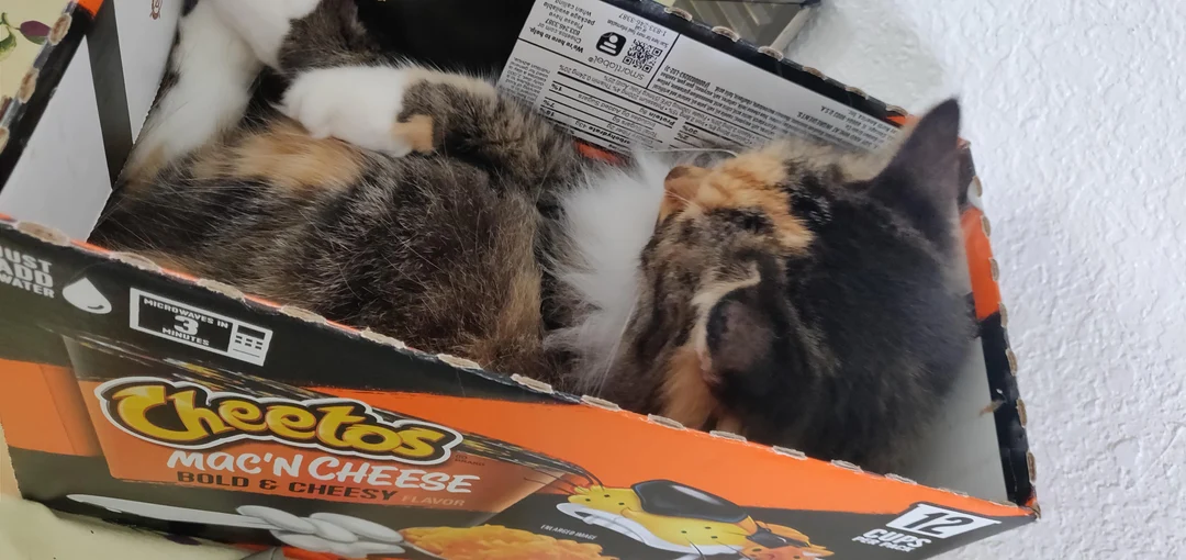 Discover more like TIGHTPUSSY: in the Cheetos and Related Content | Scrolller