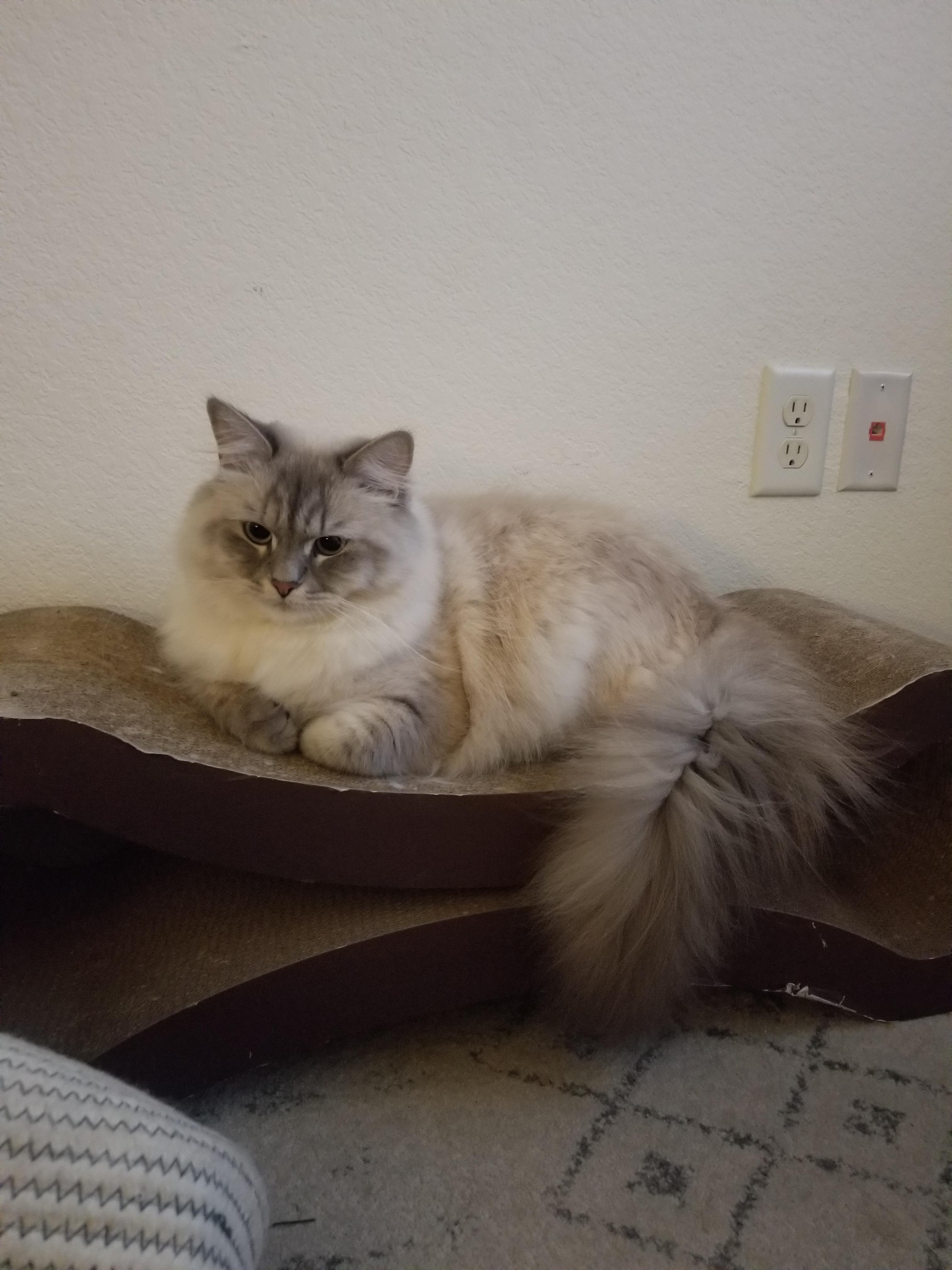 Hey vanilla | Scrolller