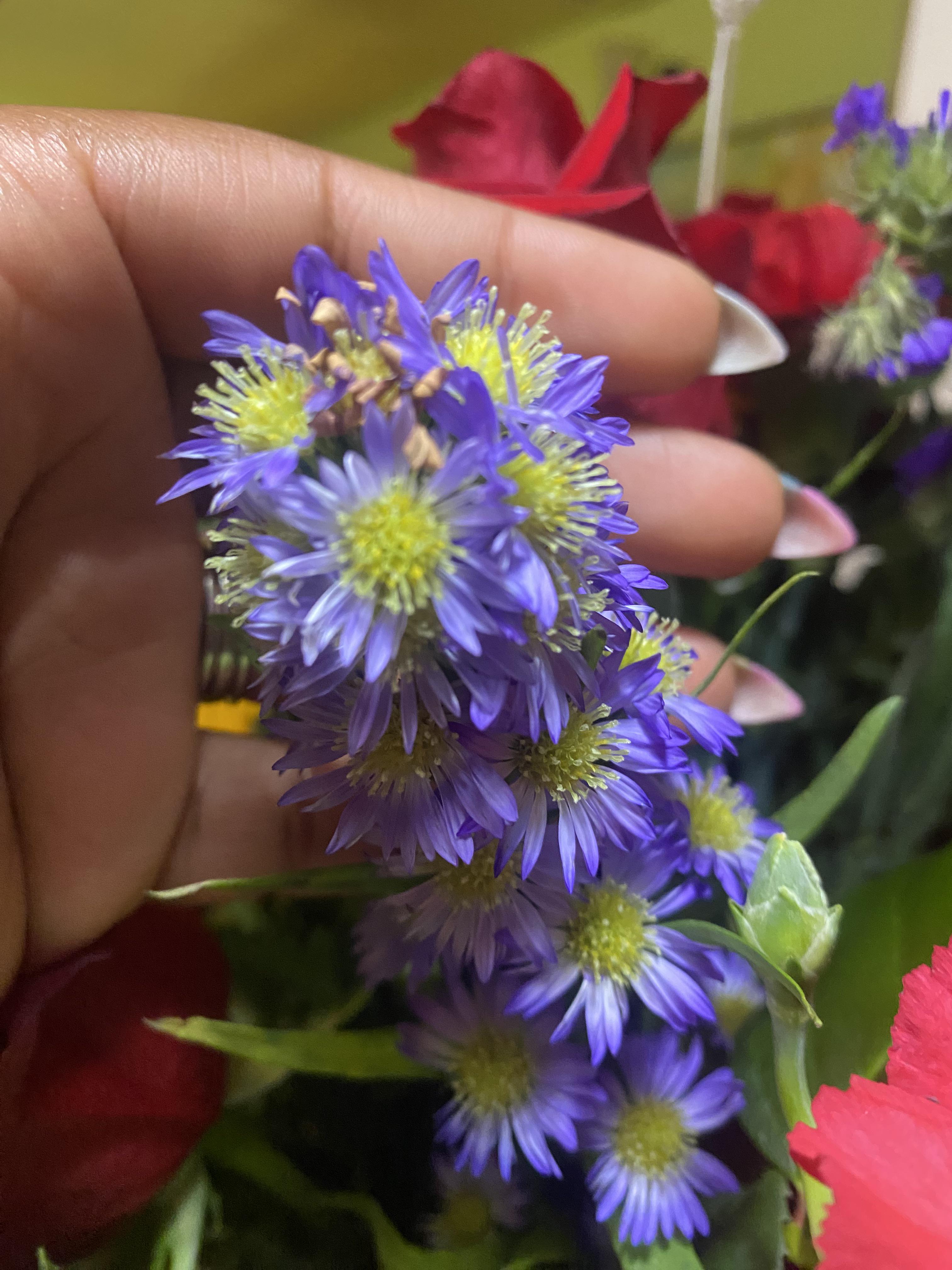 Please help with identification | Scrolller