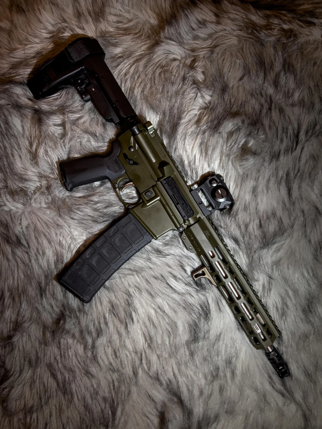 Wife built her first AR. | Scrolller