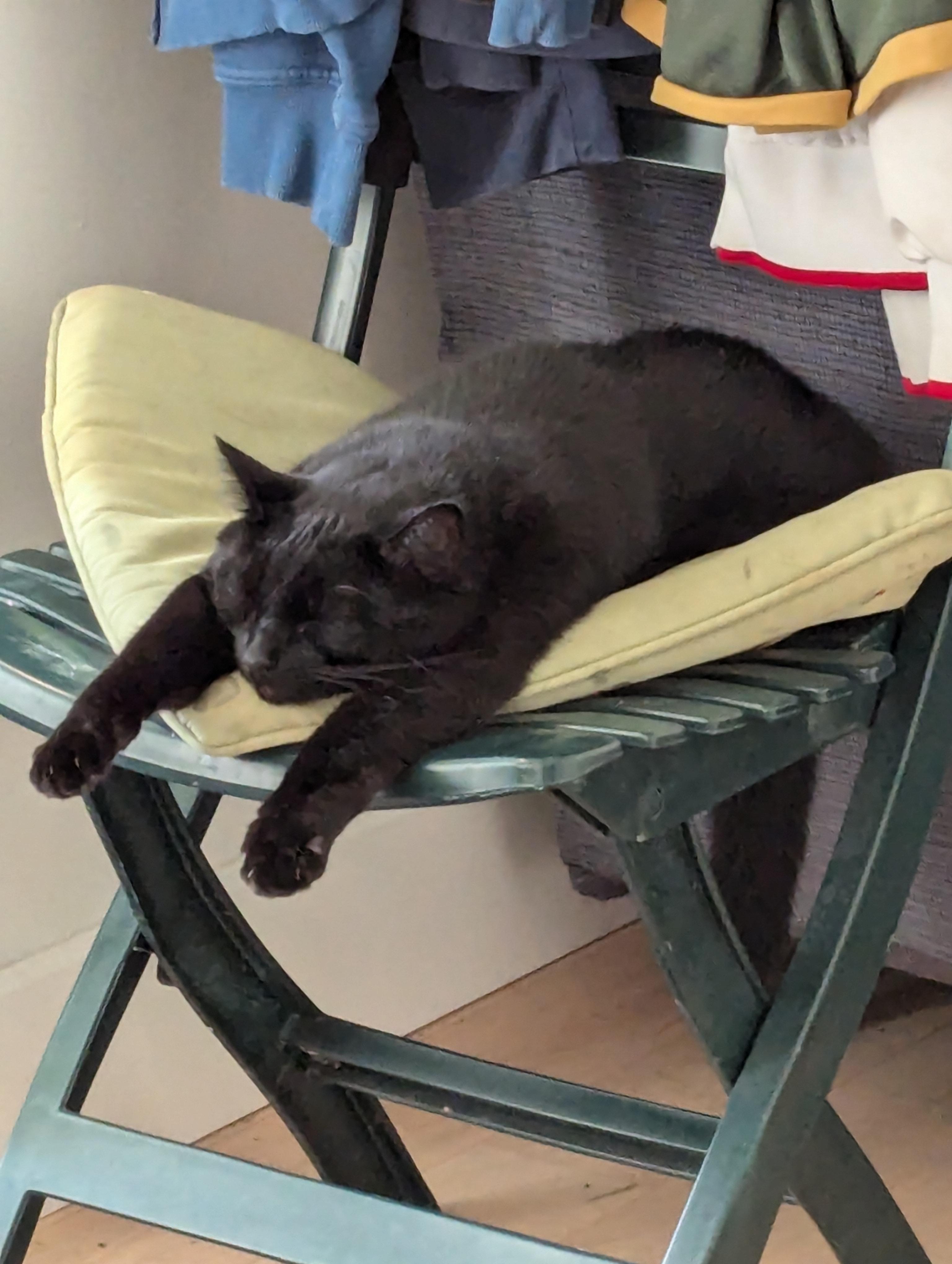 Liquid void | Scrolller