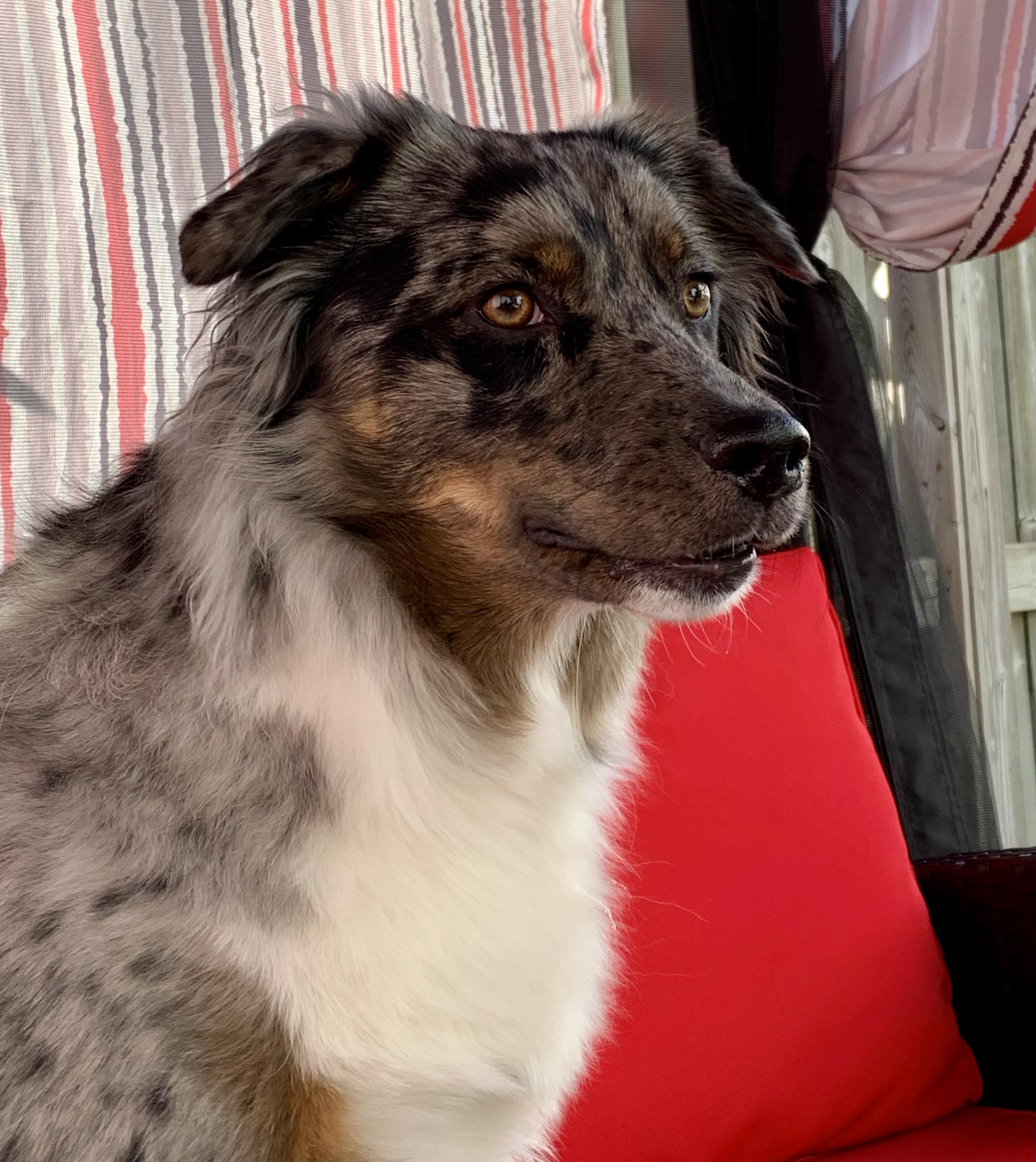 So serious | Scrolller