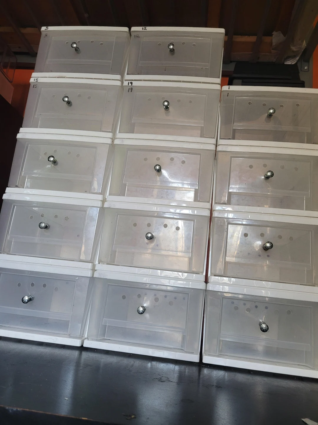 Crested gecko breeding? | Scrolller