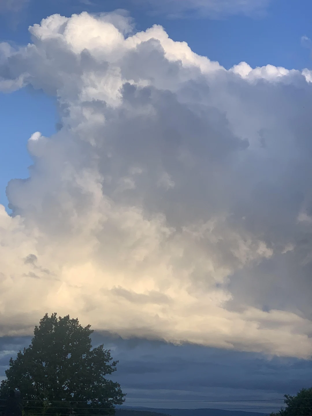 Looking at cool clouds, trippin | Scrolller