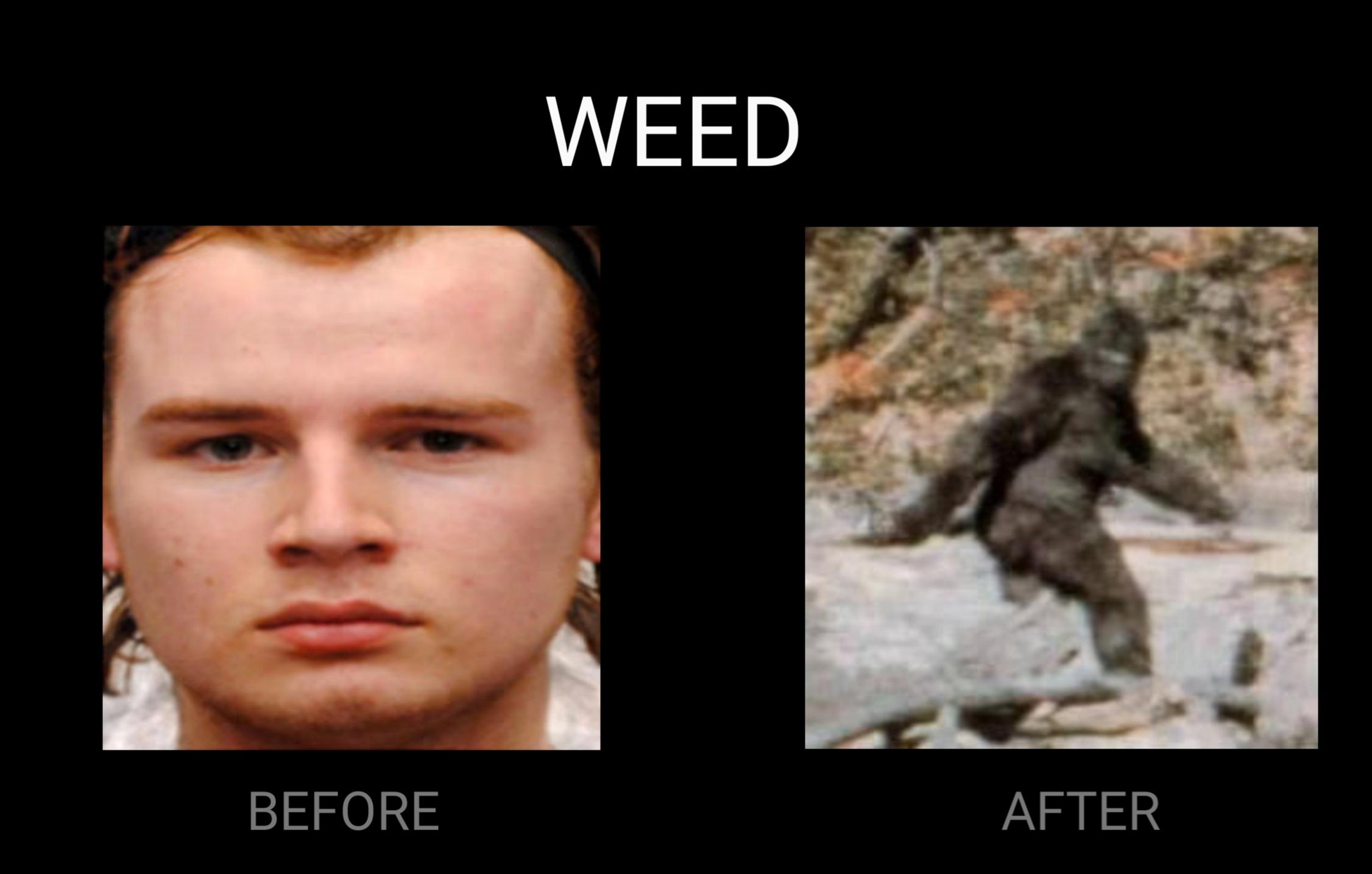 WEED: Not Even ONCE | Scrolller