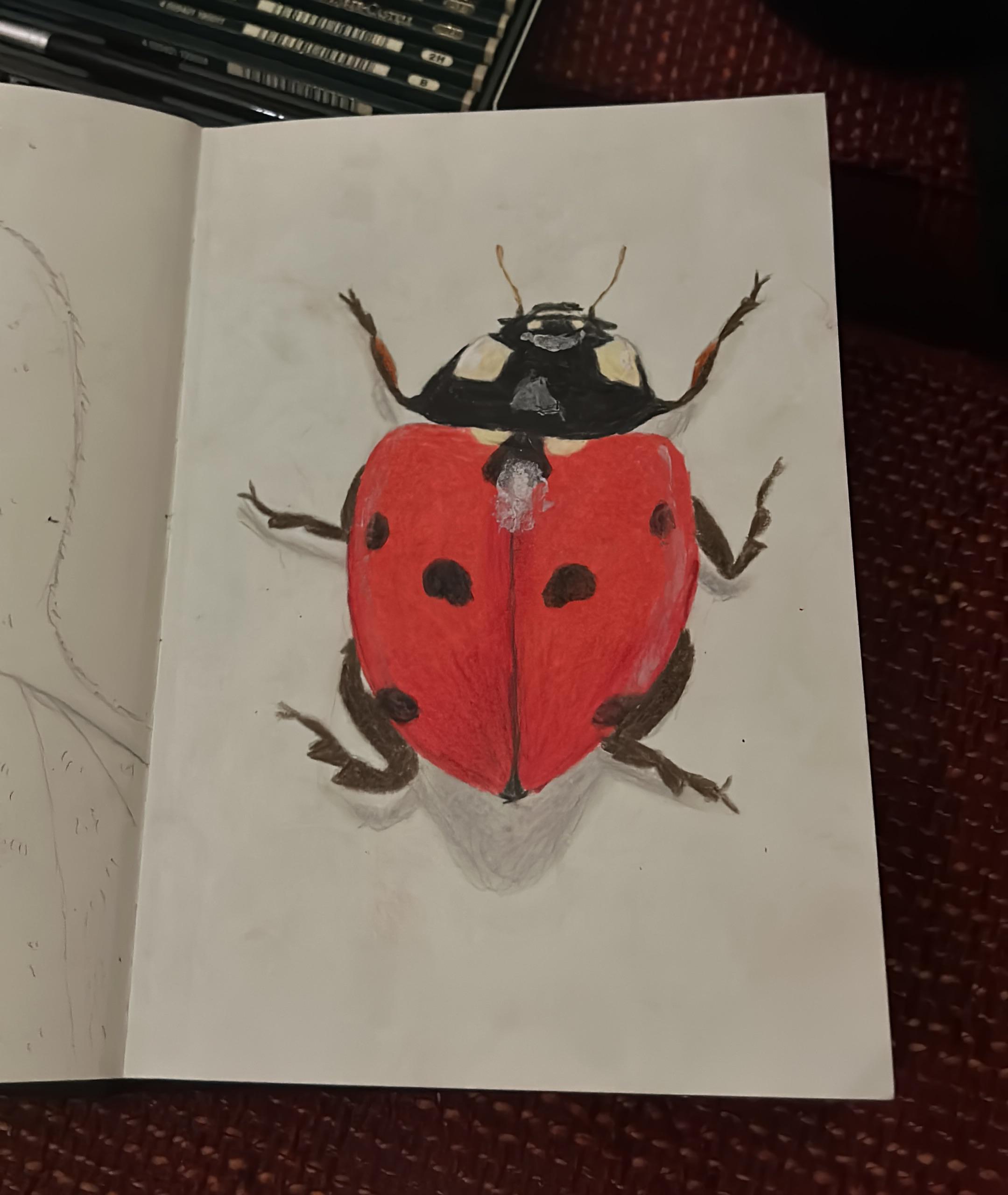 Ladybug, Me, 2023 | Scrolller