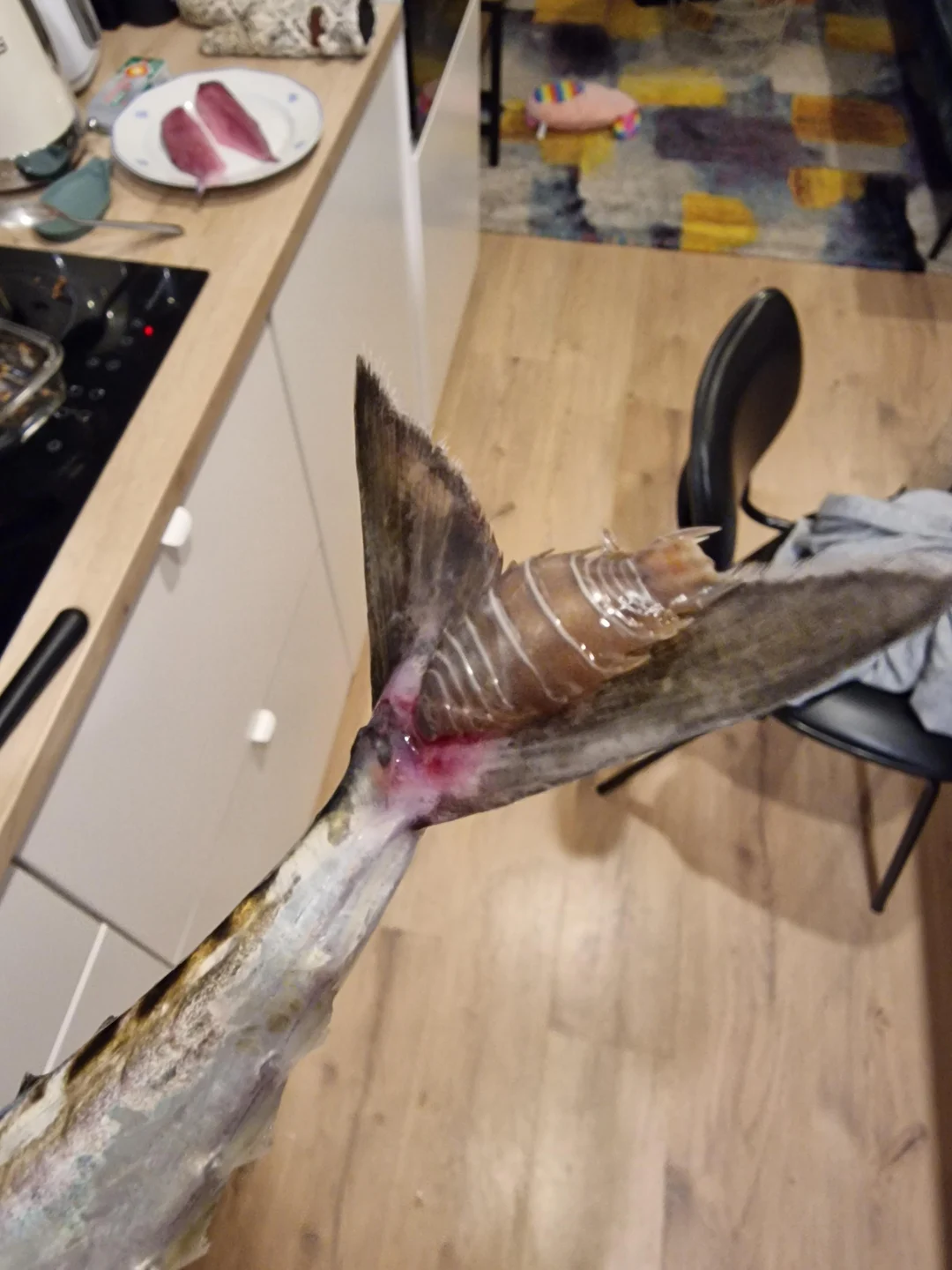 What is it? Is it safe to eat the fish? | Scrolller