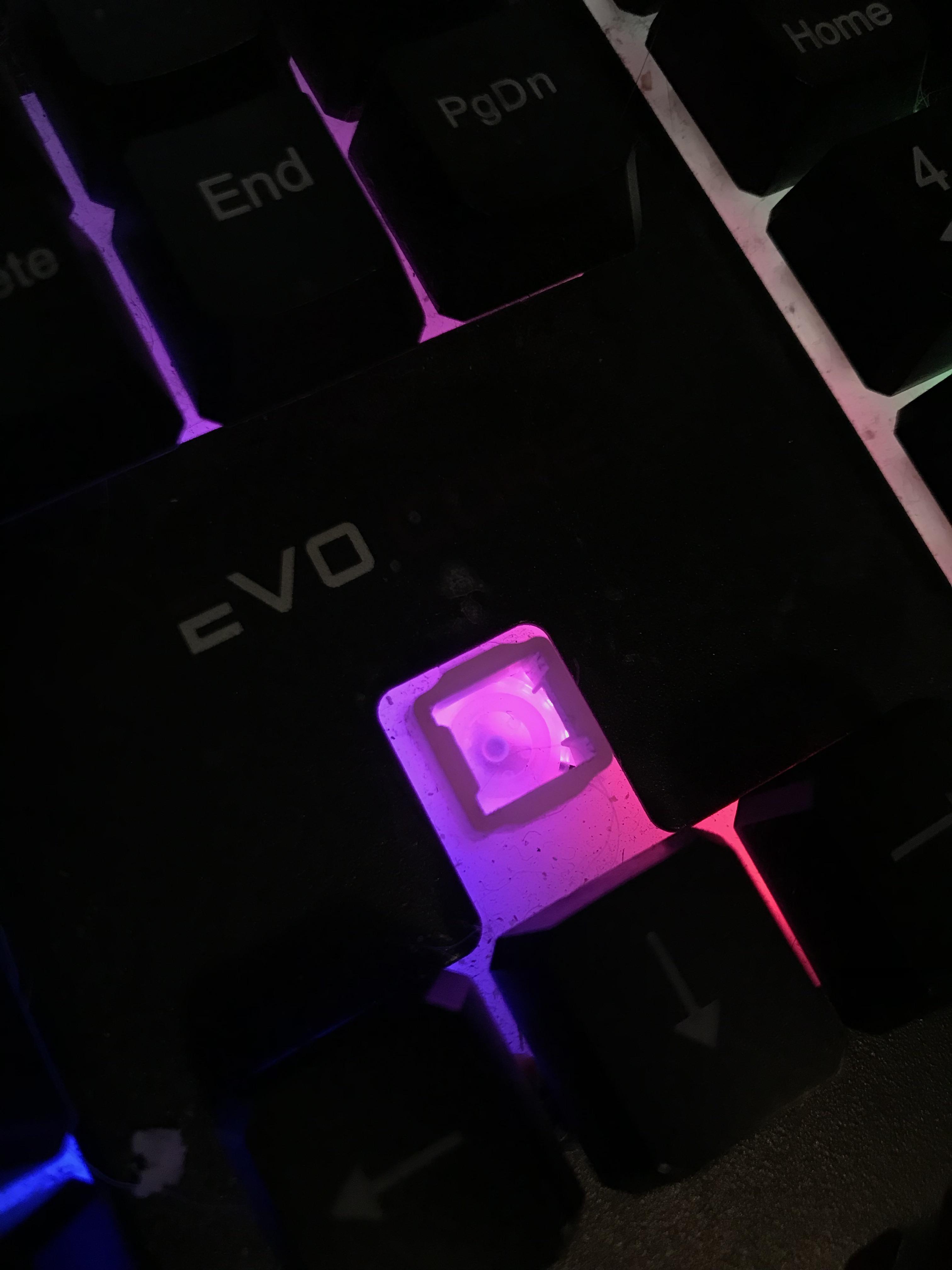 What are these switches? | Scrolller