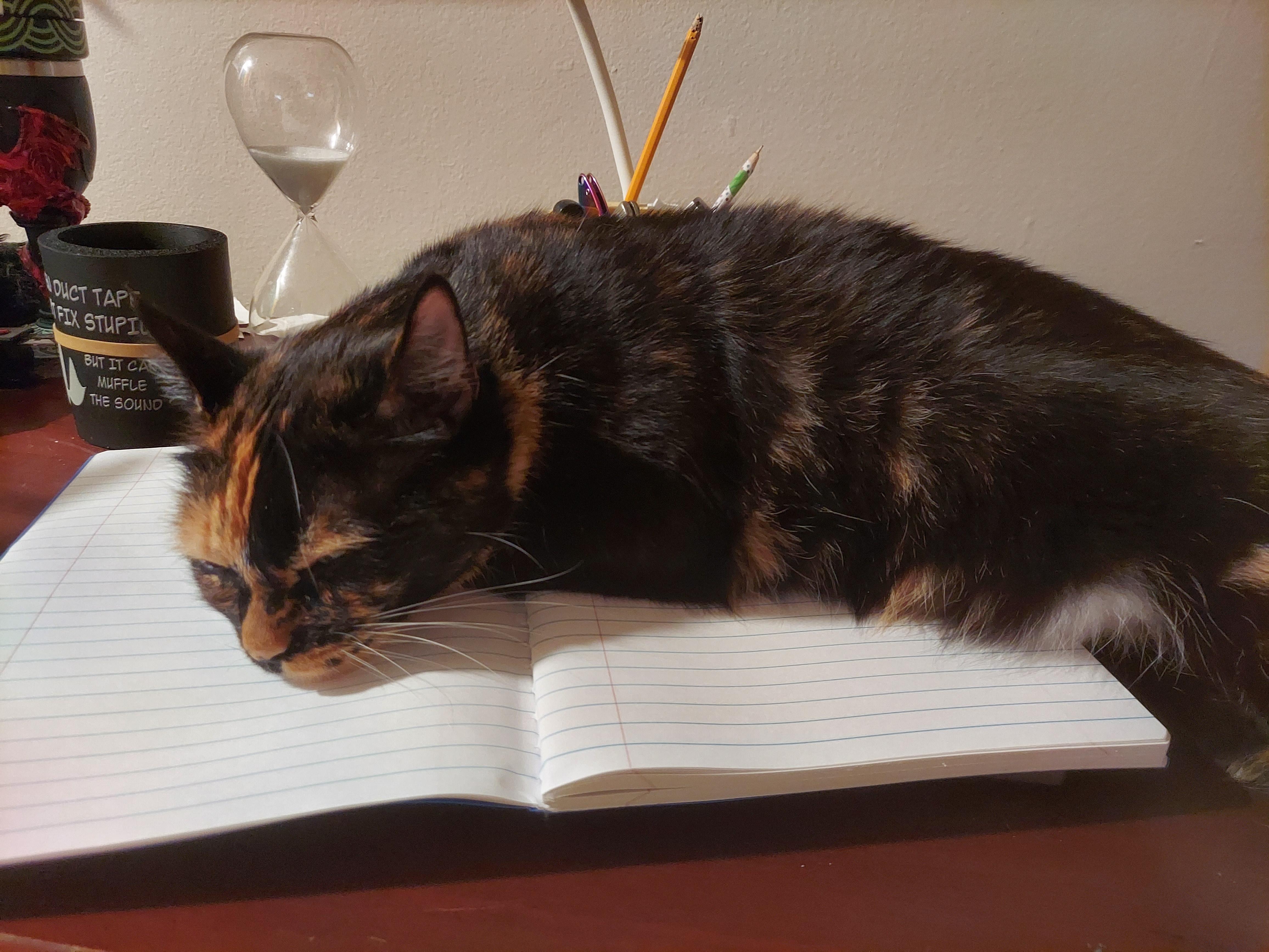 How am I supposed to write under theses conditions? | Scrolller