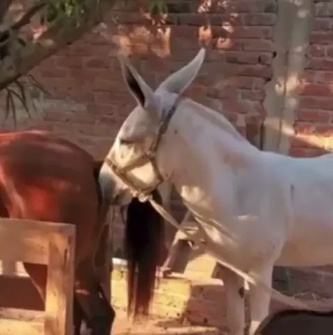 El amor es así 😍😁😁😁😈 | Scrolller