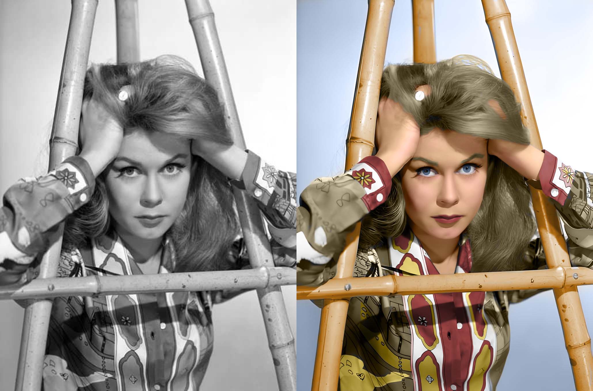Elizabeth Montgomery (Bewitched era 1964-1972) | Scrolller