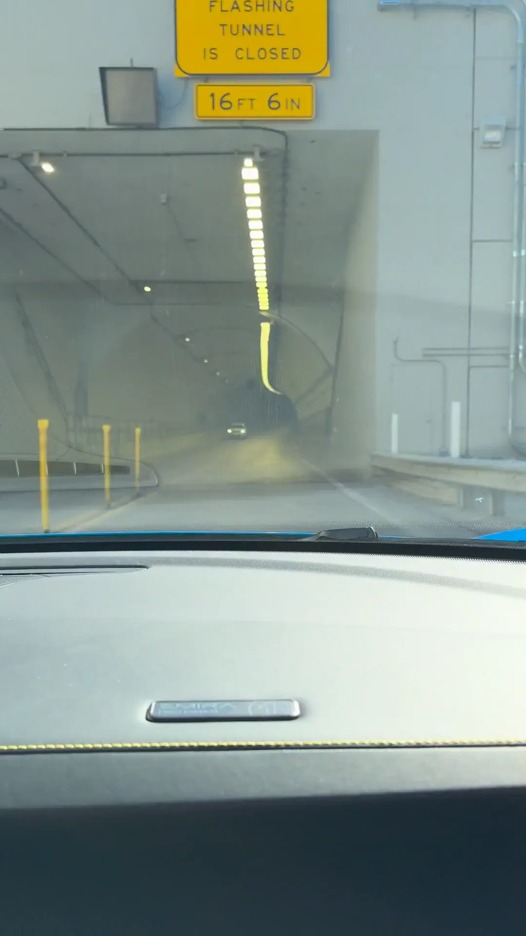 Emira Cat Delete | Scrolller