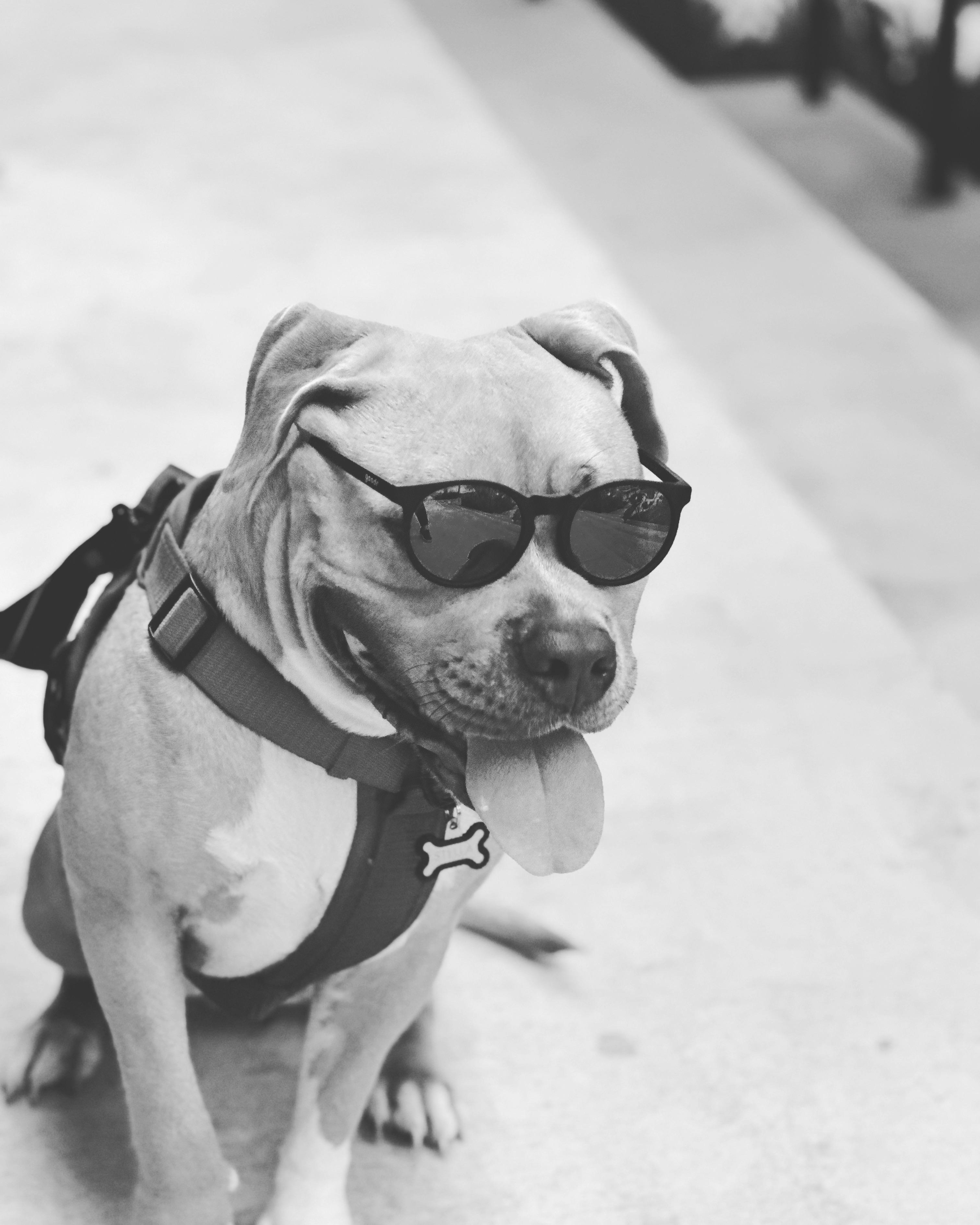 Entering her Ray Charles era | Scrolller