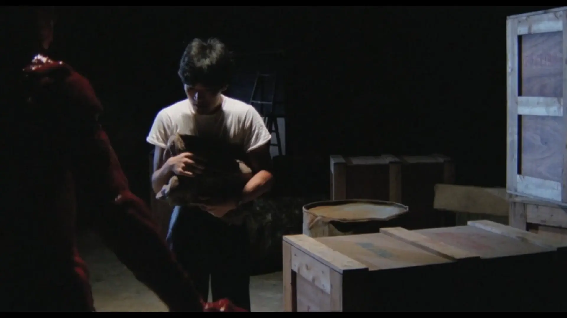 Entrails of a Beautiful Woman (1986) | Scrolller