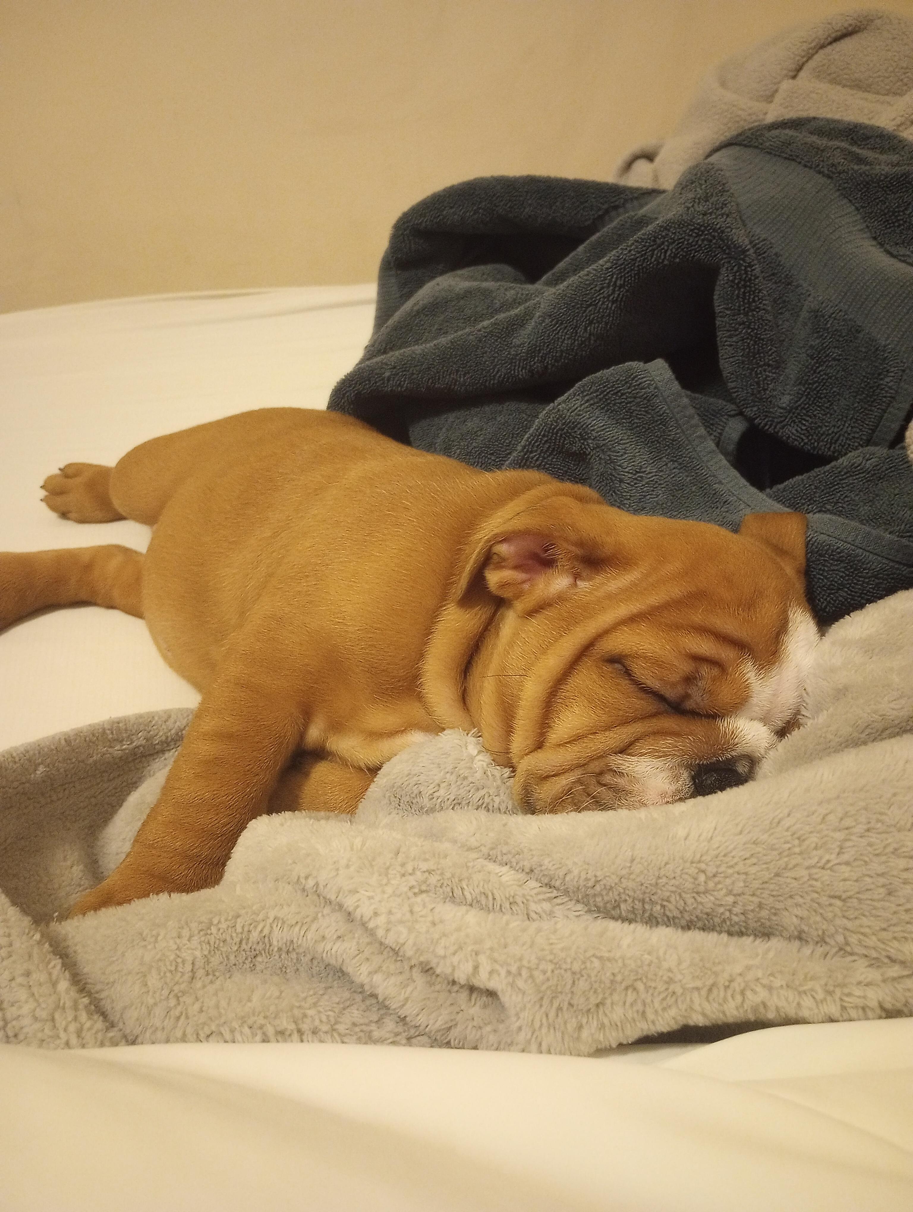 Meet Ruby | Scrolller