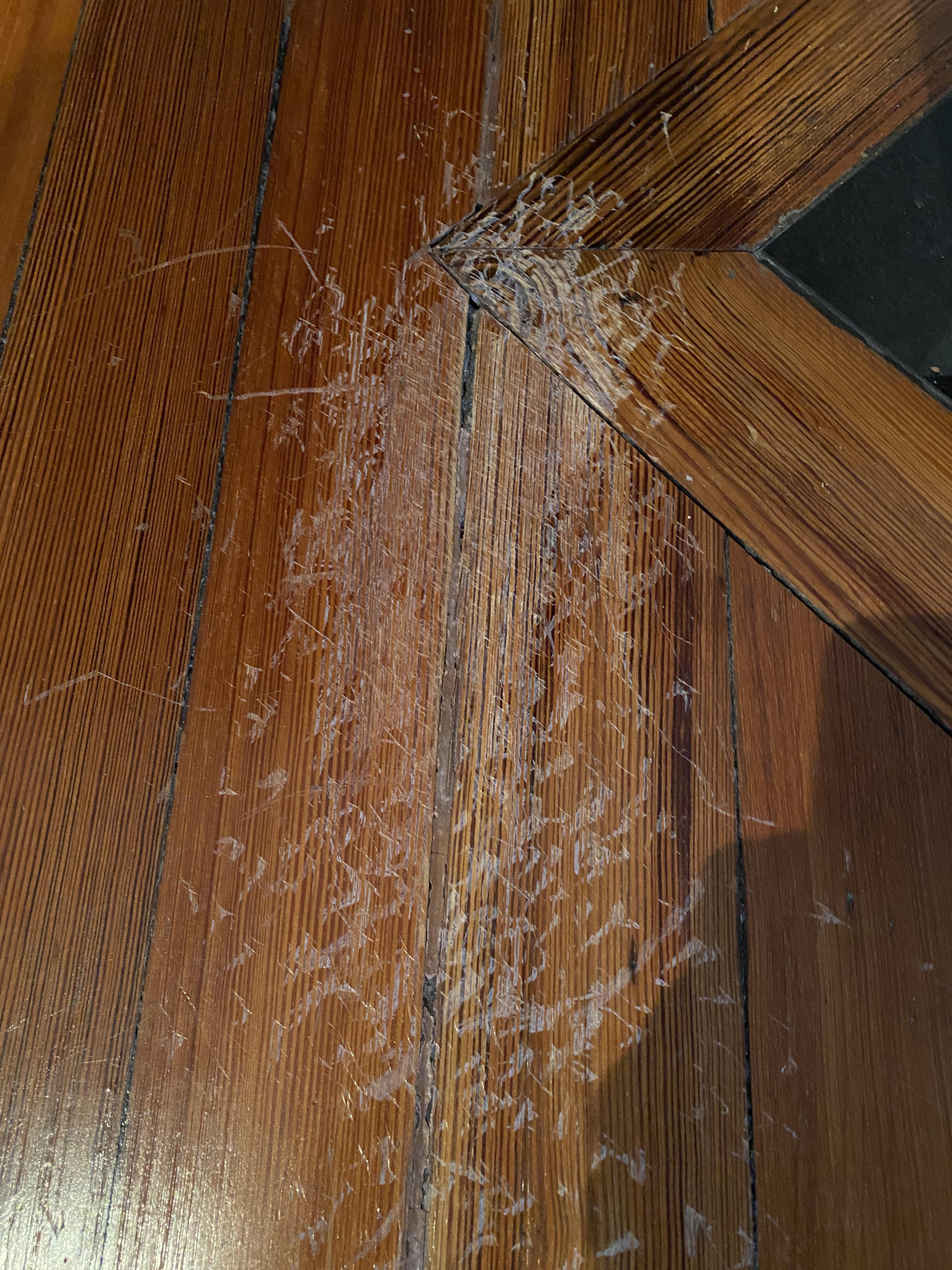 How to treat hardwood scratches? | Scrolller