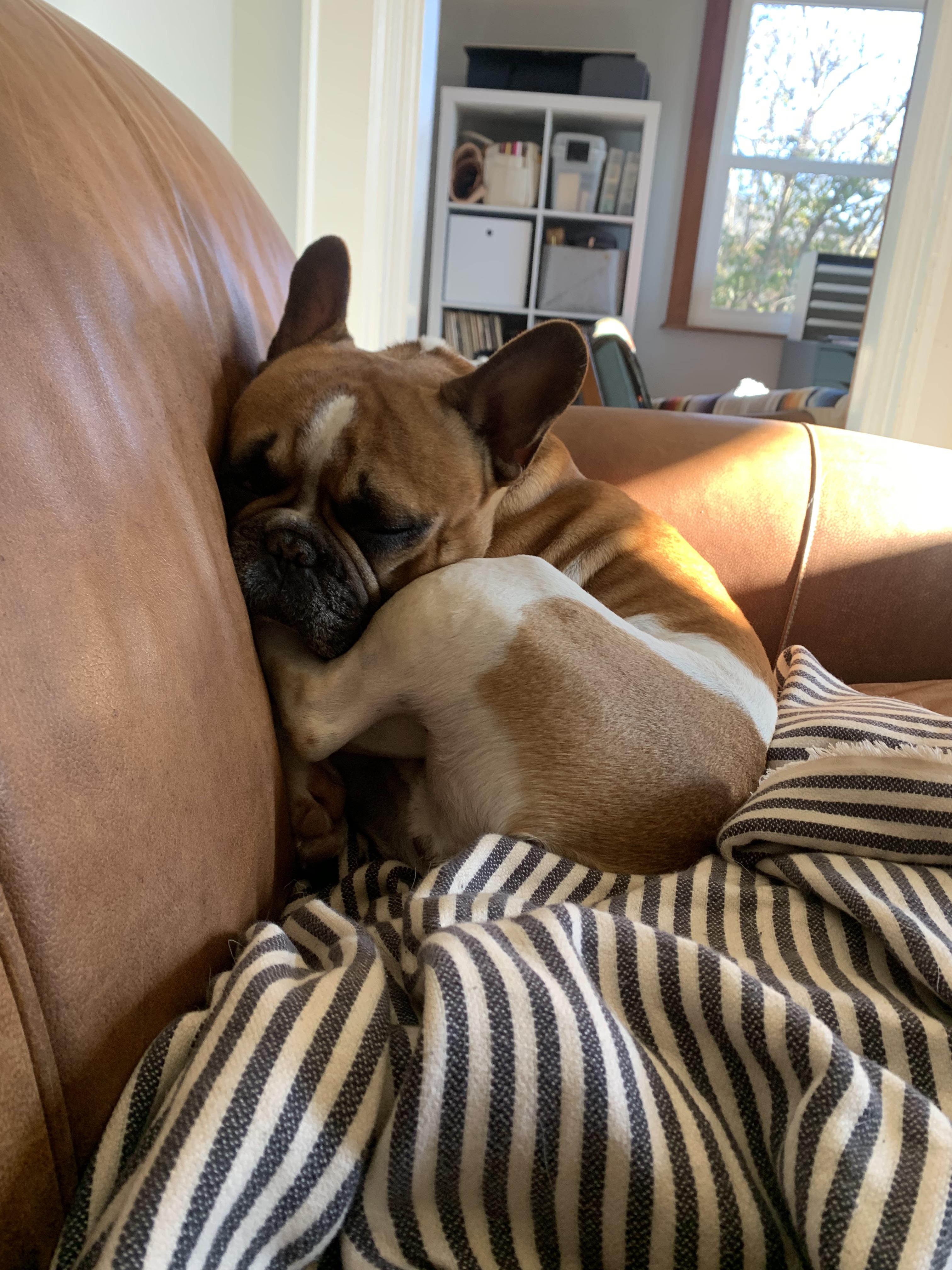 Solar powered | Scrolller