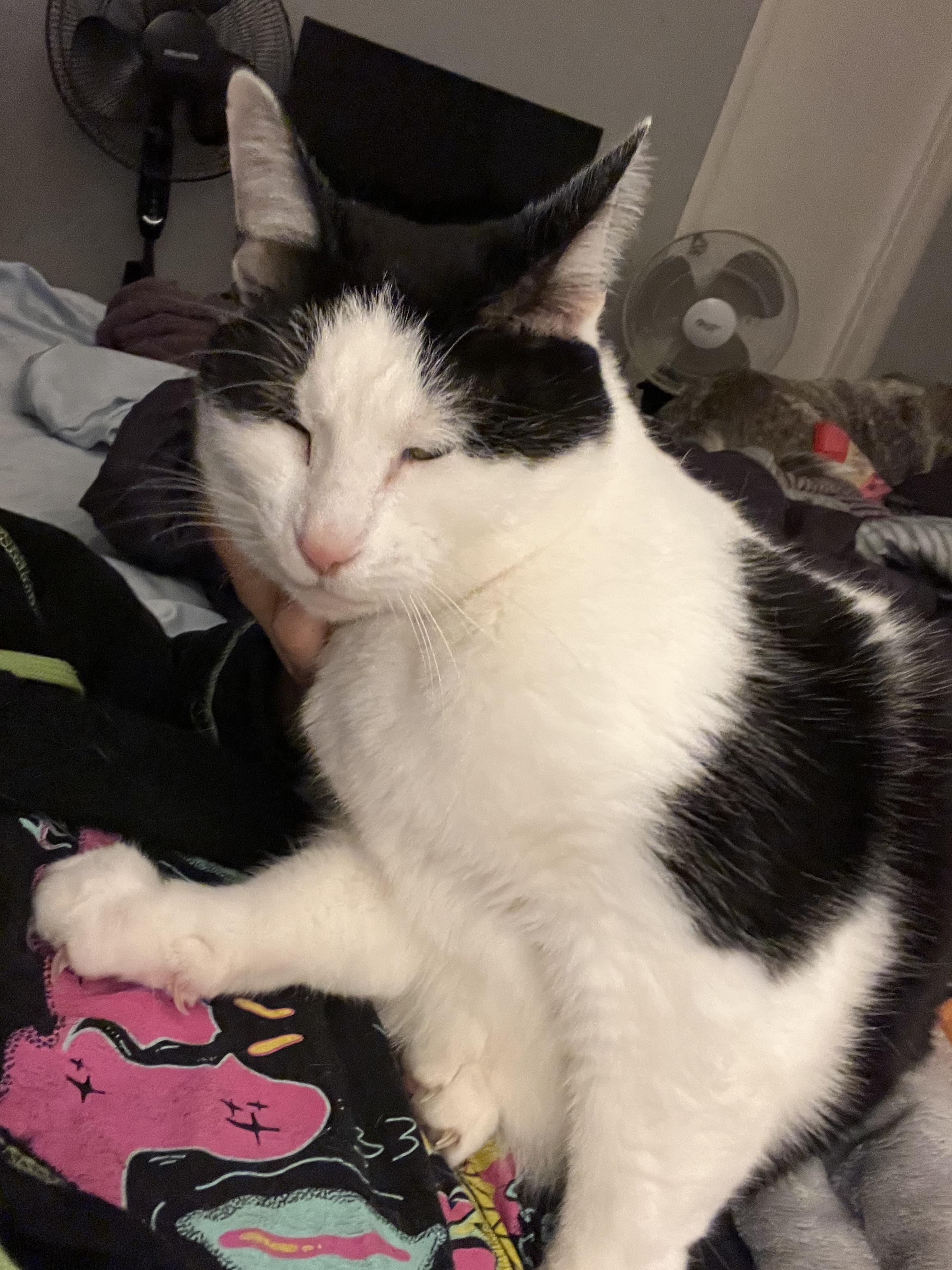 Snuggles from the old man | Scrolller