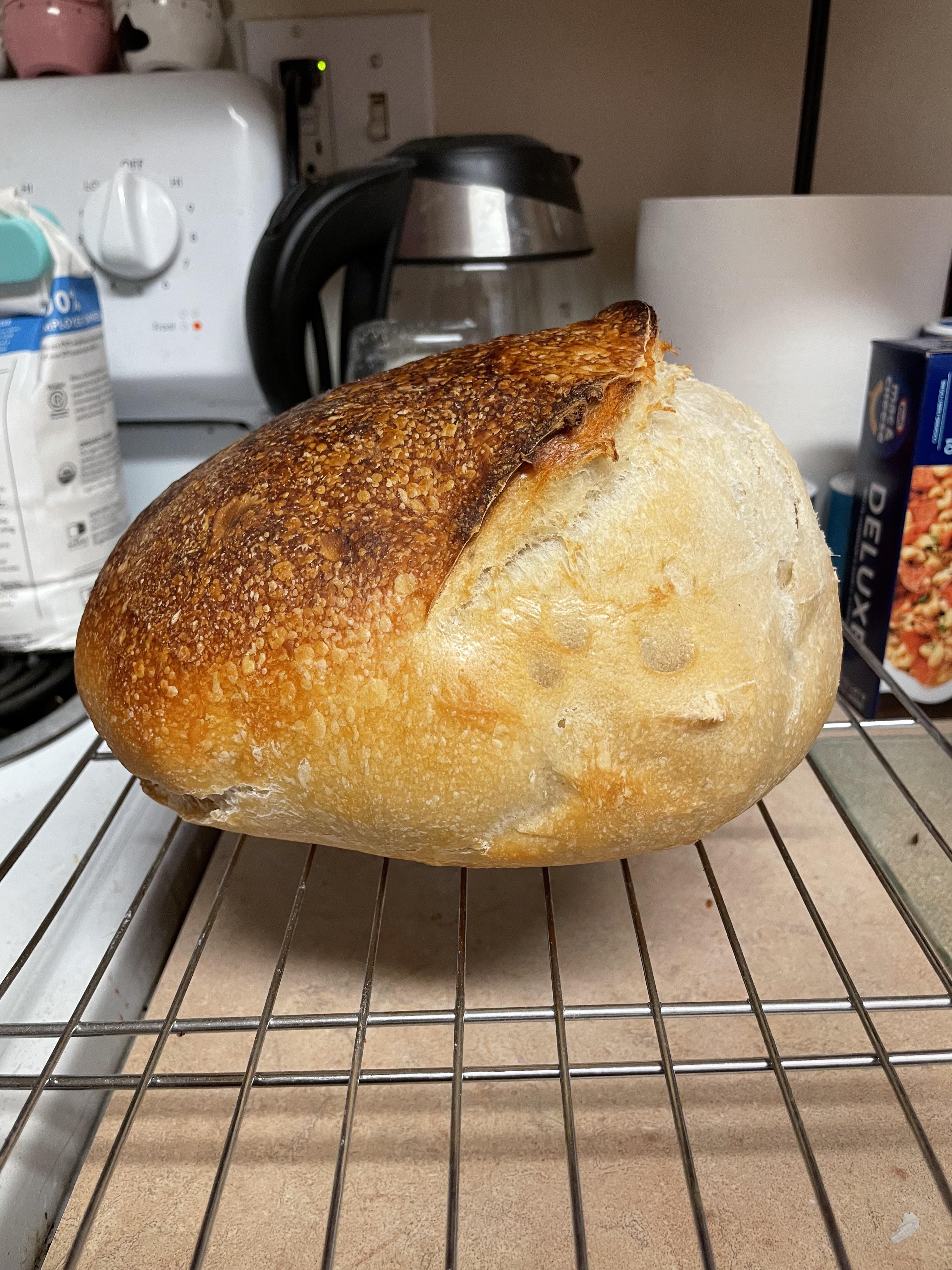 My first sourdough loaf!! | Scrolller