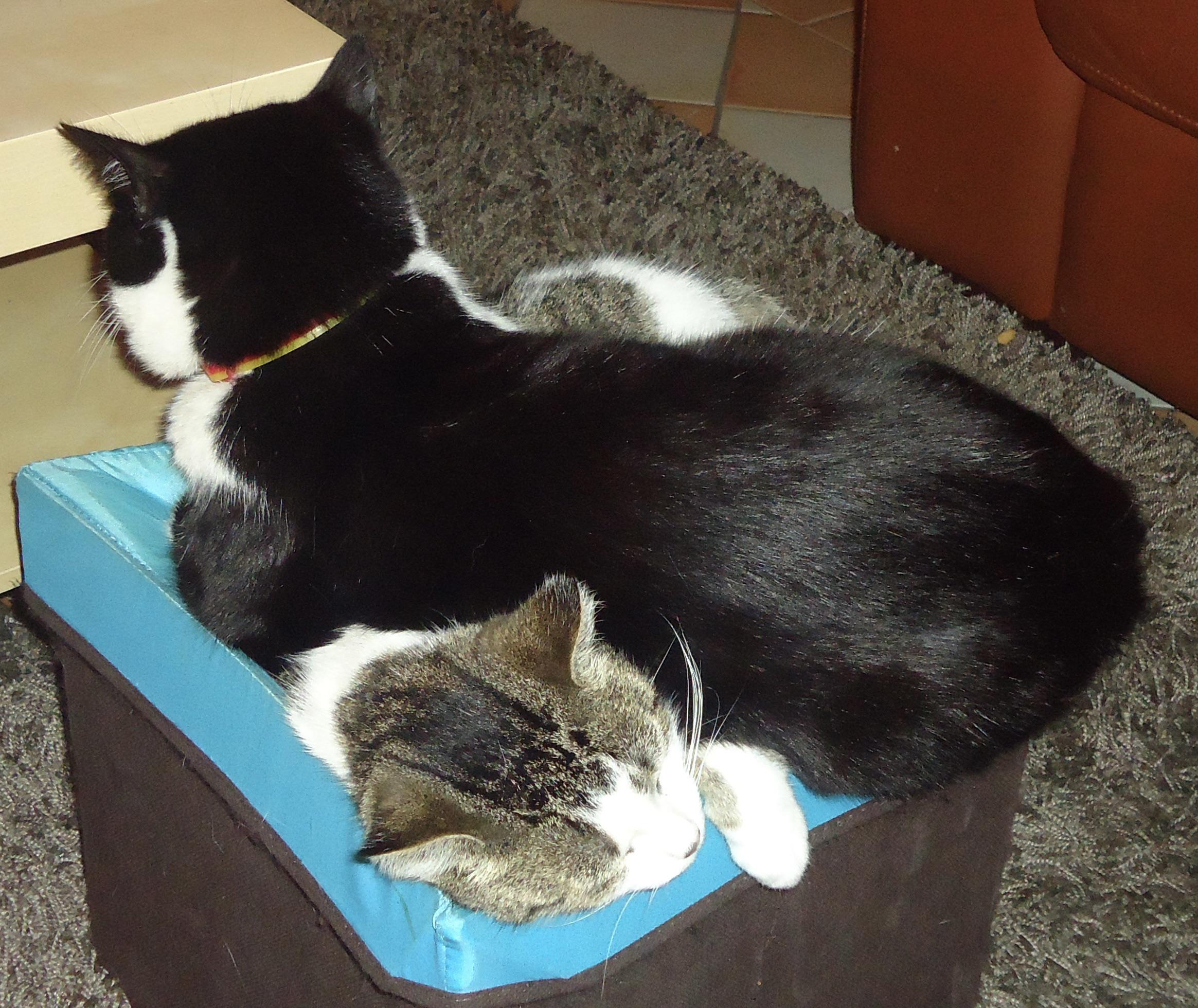 Call it, revenge | Scrolller