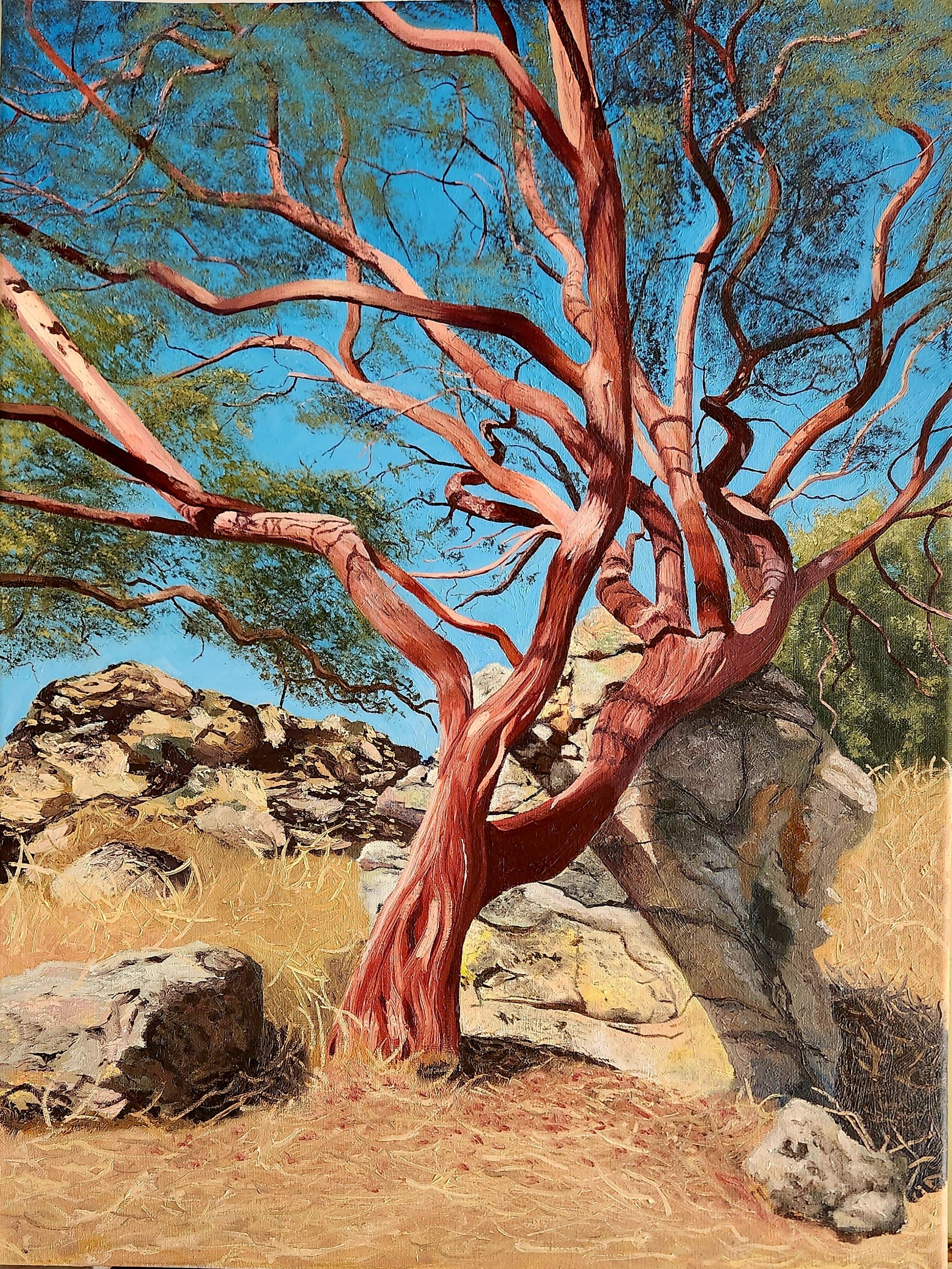 Tree update after advice | Scrolller