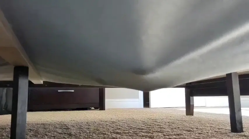 Events in the cat dimension can project into our dimension | Scrolller