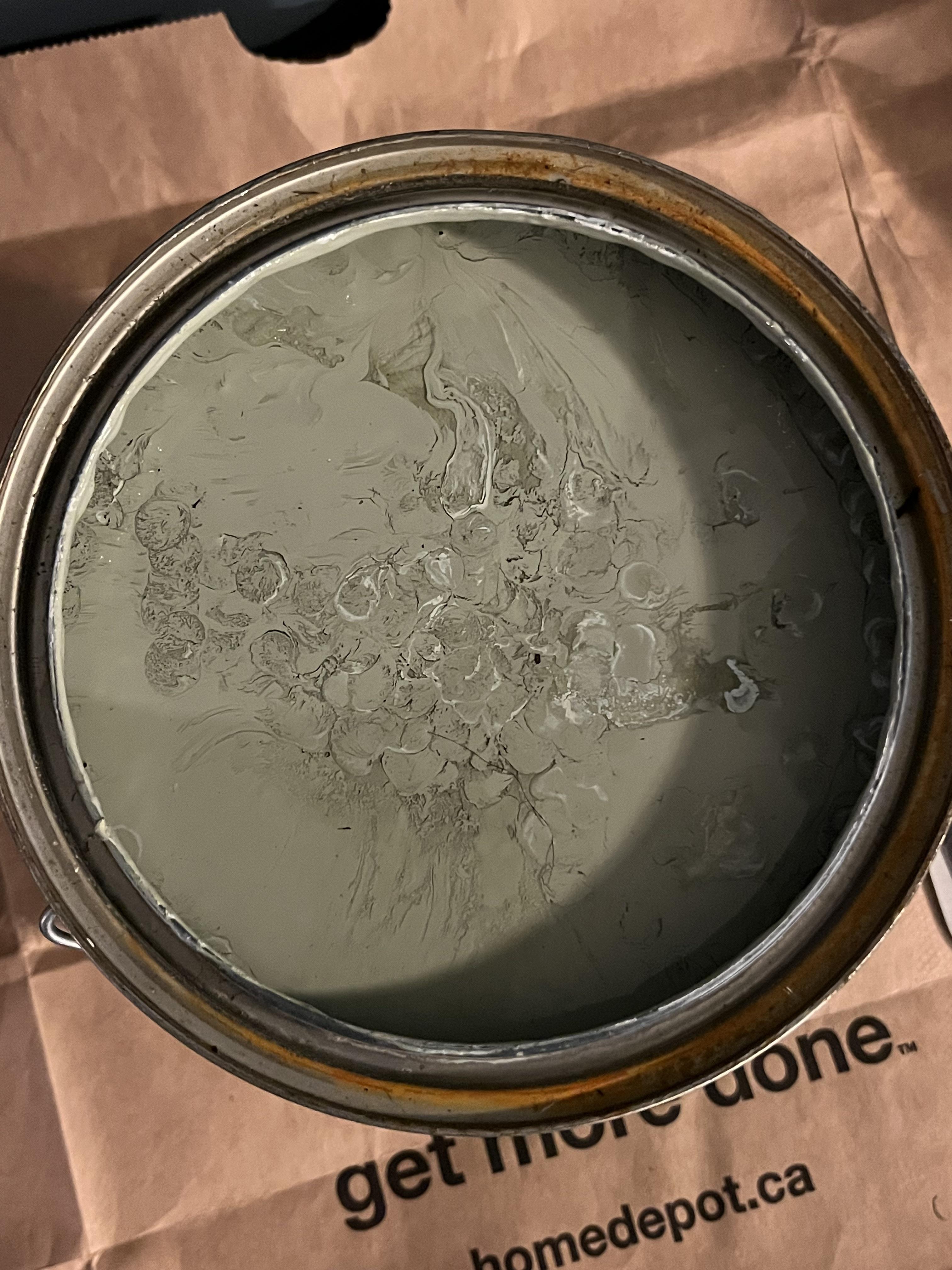 Evergreen Fog | Scrolller