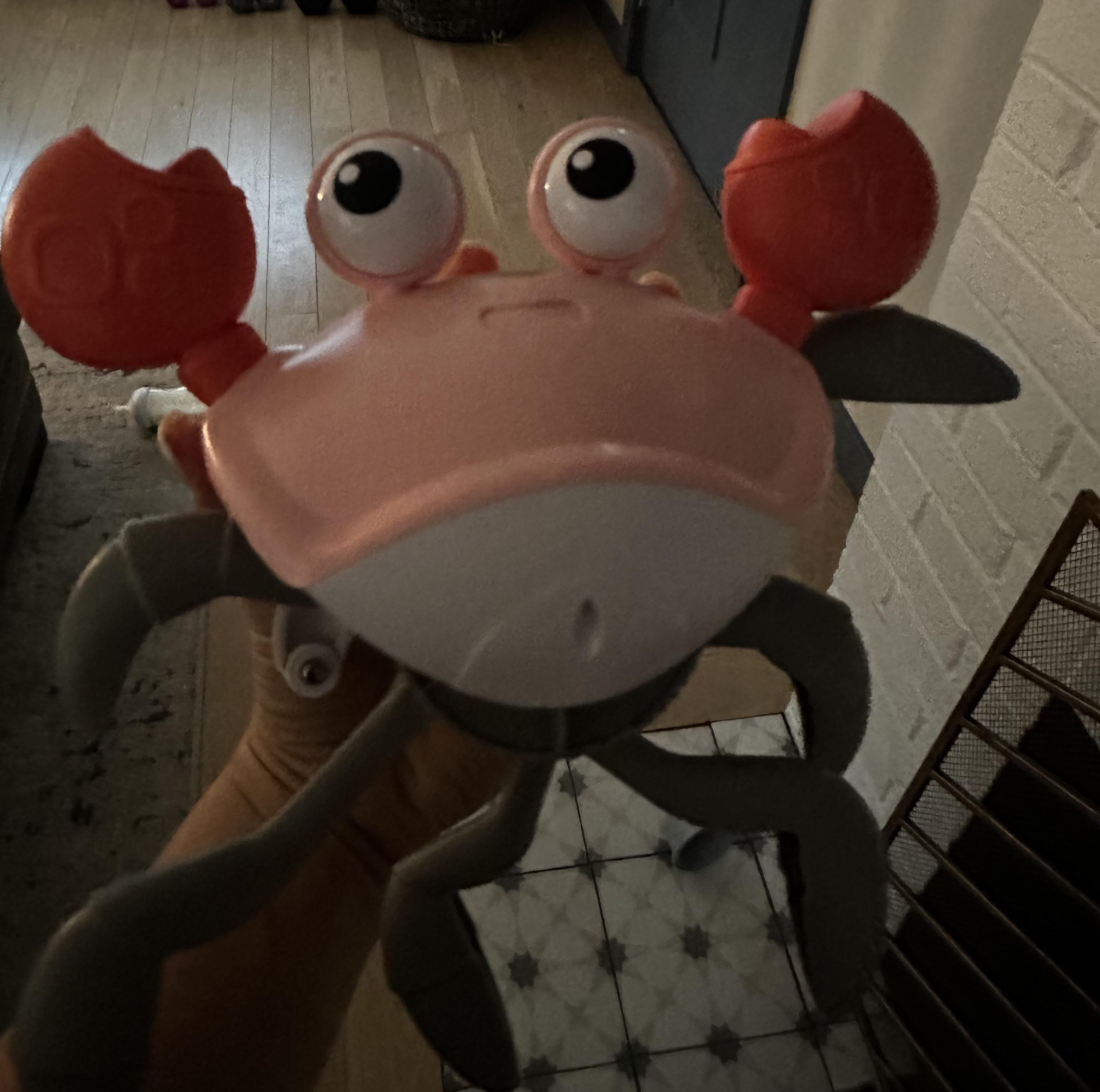 Everyone Meet Crabula | Scrolller