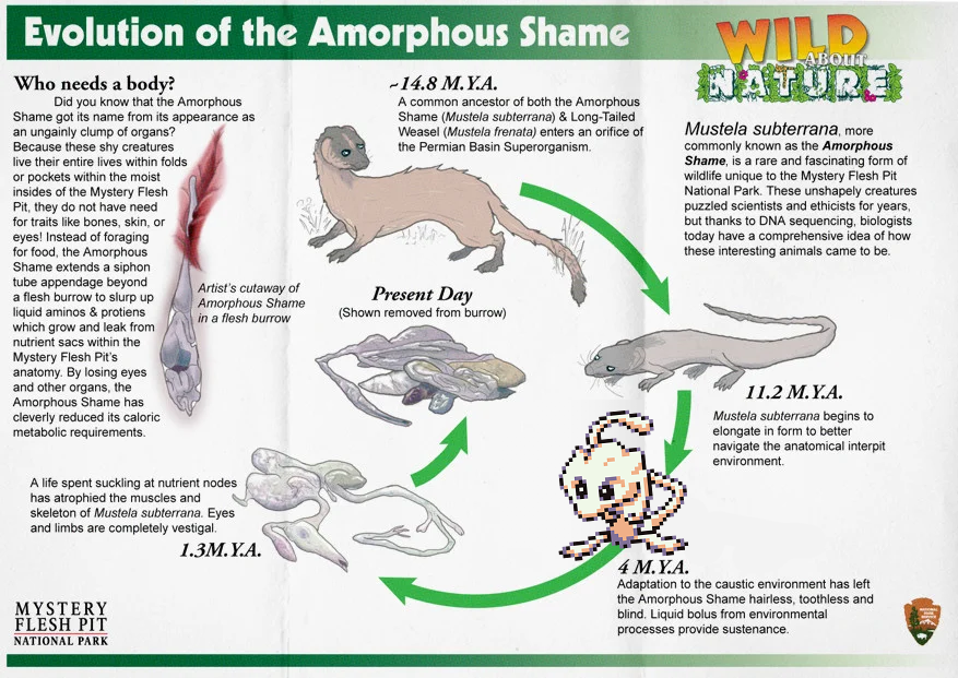 Evolution of the Amewphous Shame | Scrolller