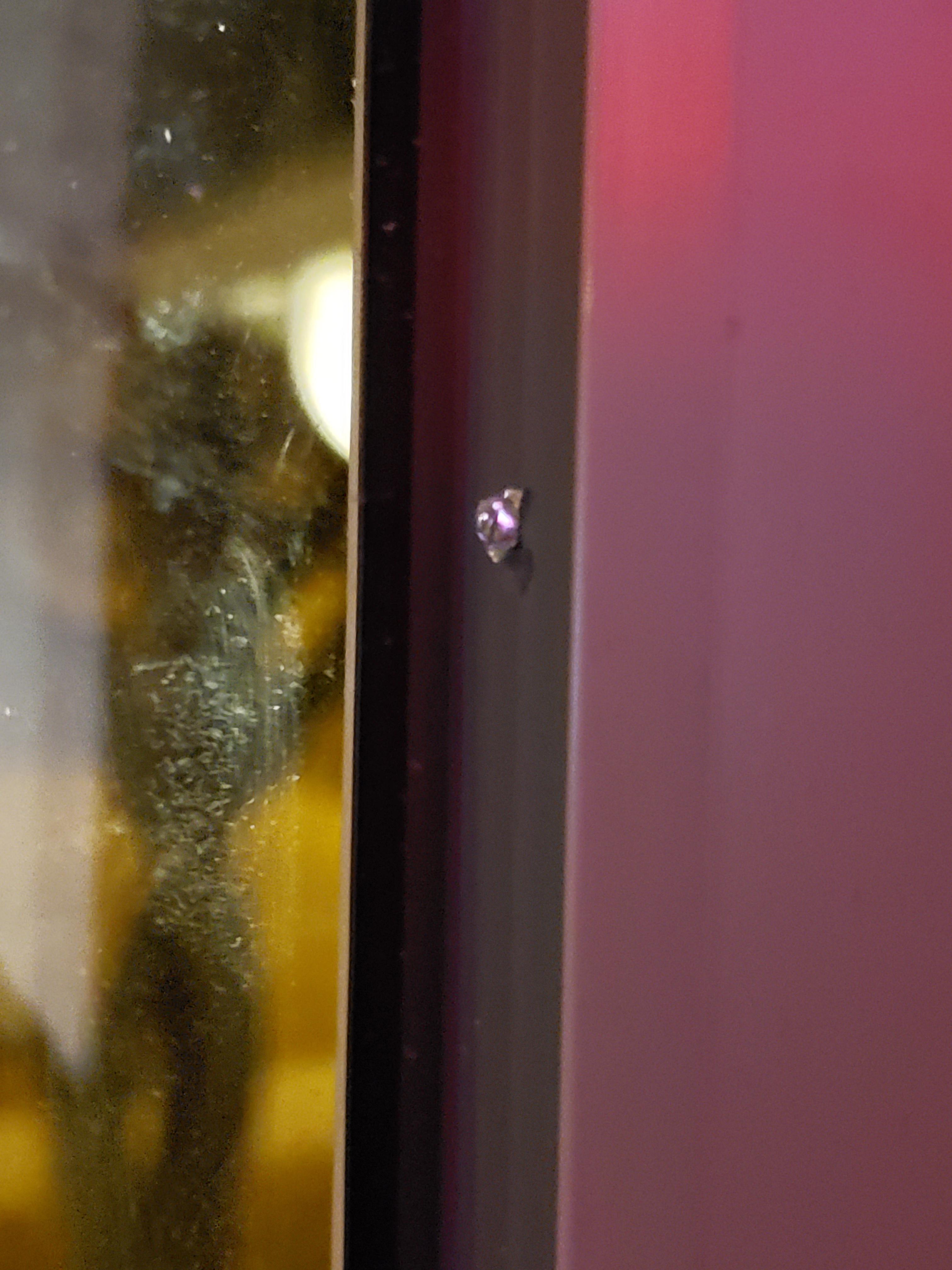 Leaking windows? | Scrolller