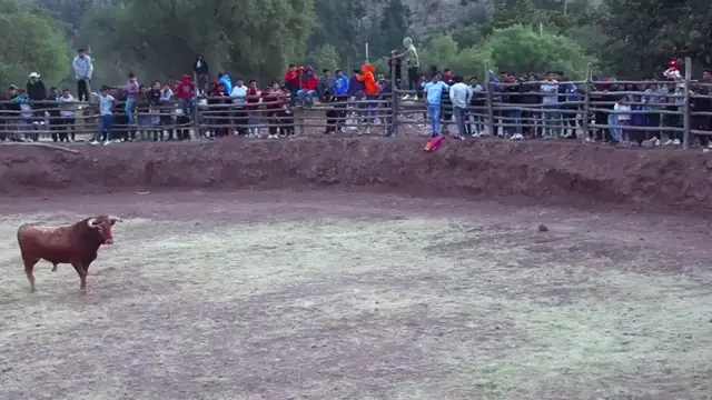 Extended cut | Scrolller