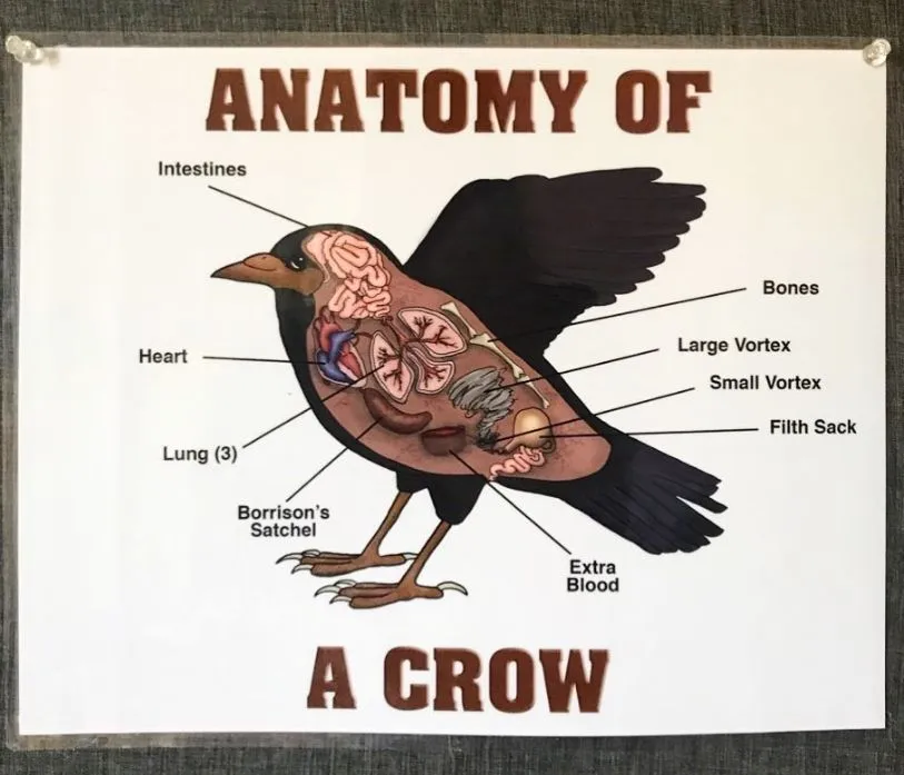 Discover more like Corvids: Extra blood always comes in handy and Related Content | Scrolller